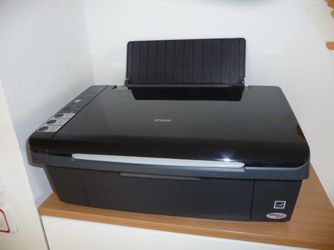 Epson DX4450