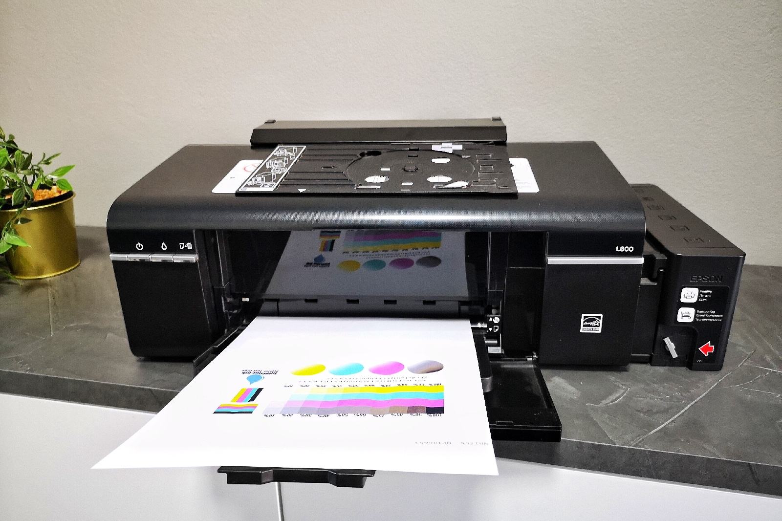 Epson L800 printer