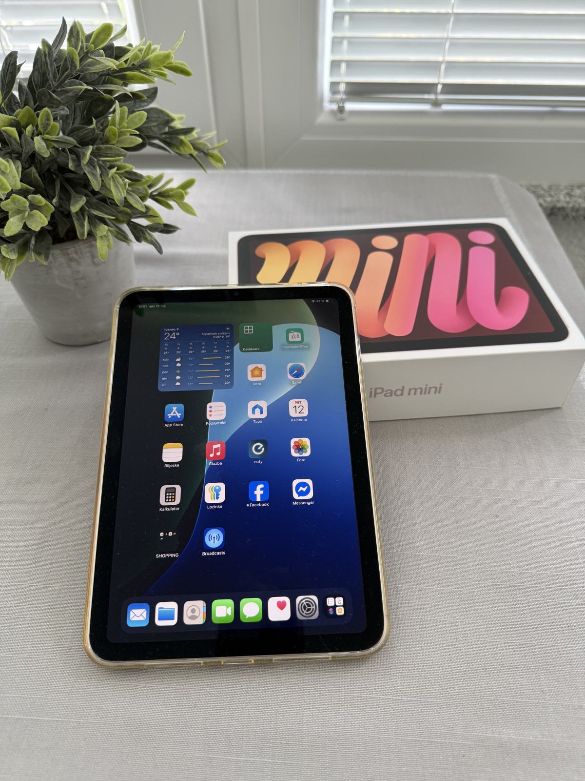 Apple Ipad mini 6 pink