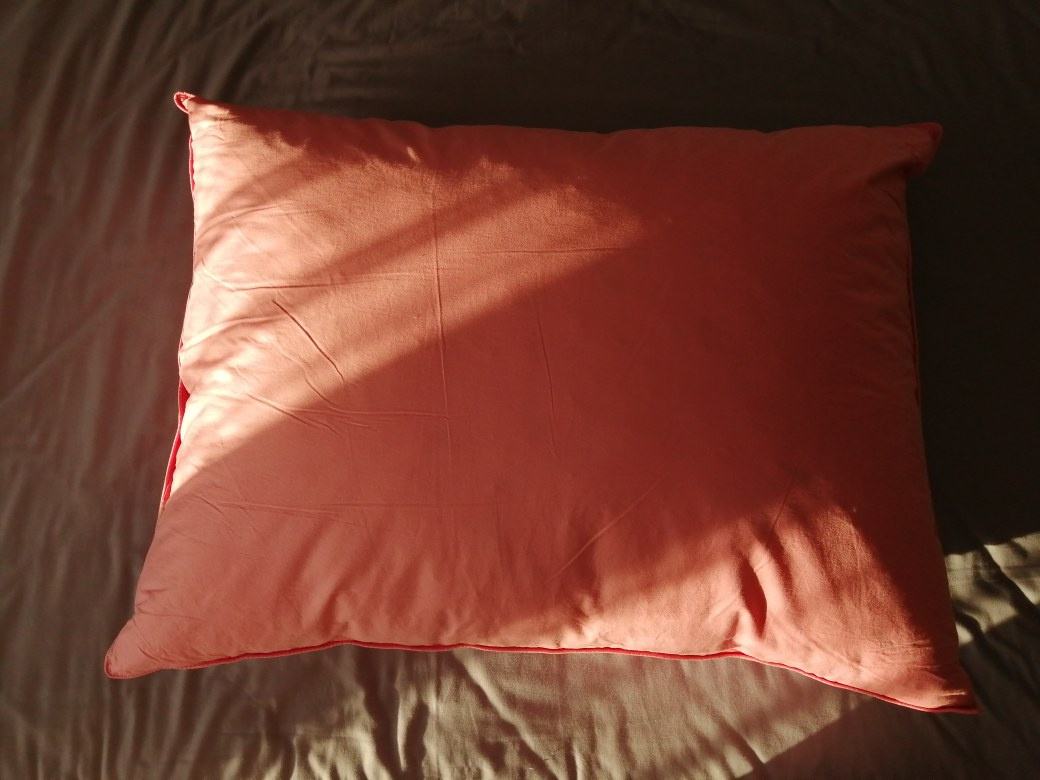 Jastuk gušćje perije 60x80 cm