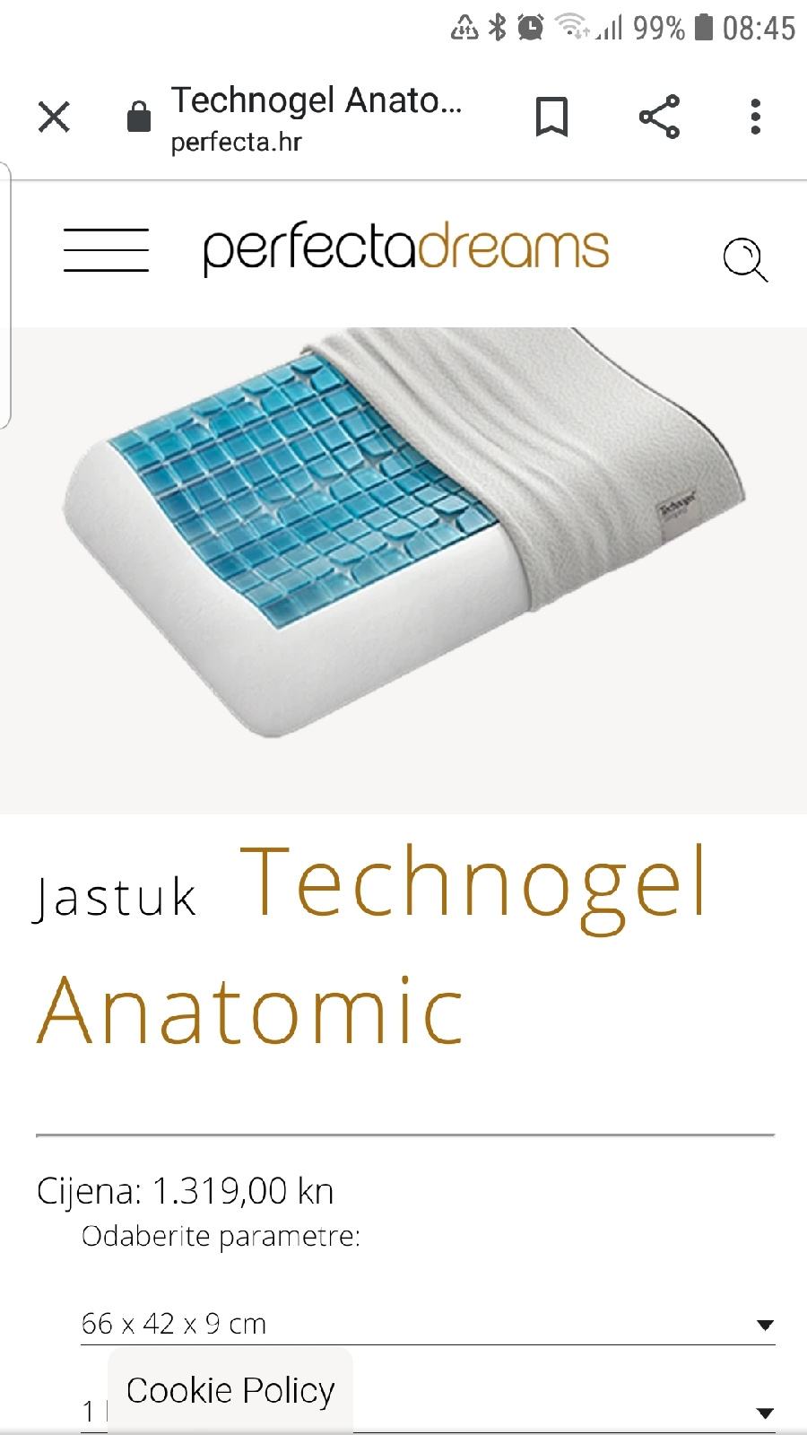 Jastuk Technogel Anatomic Perfecta dreams
