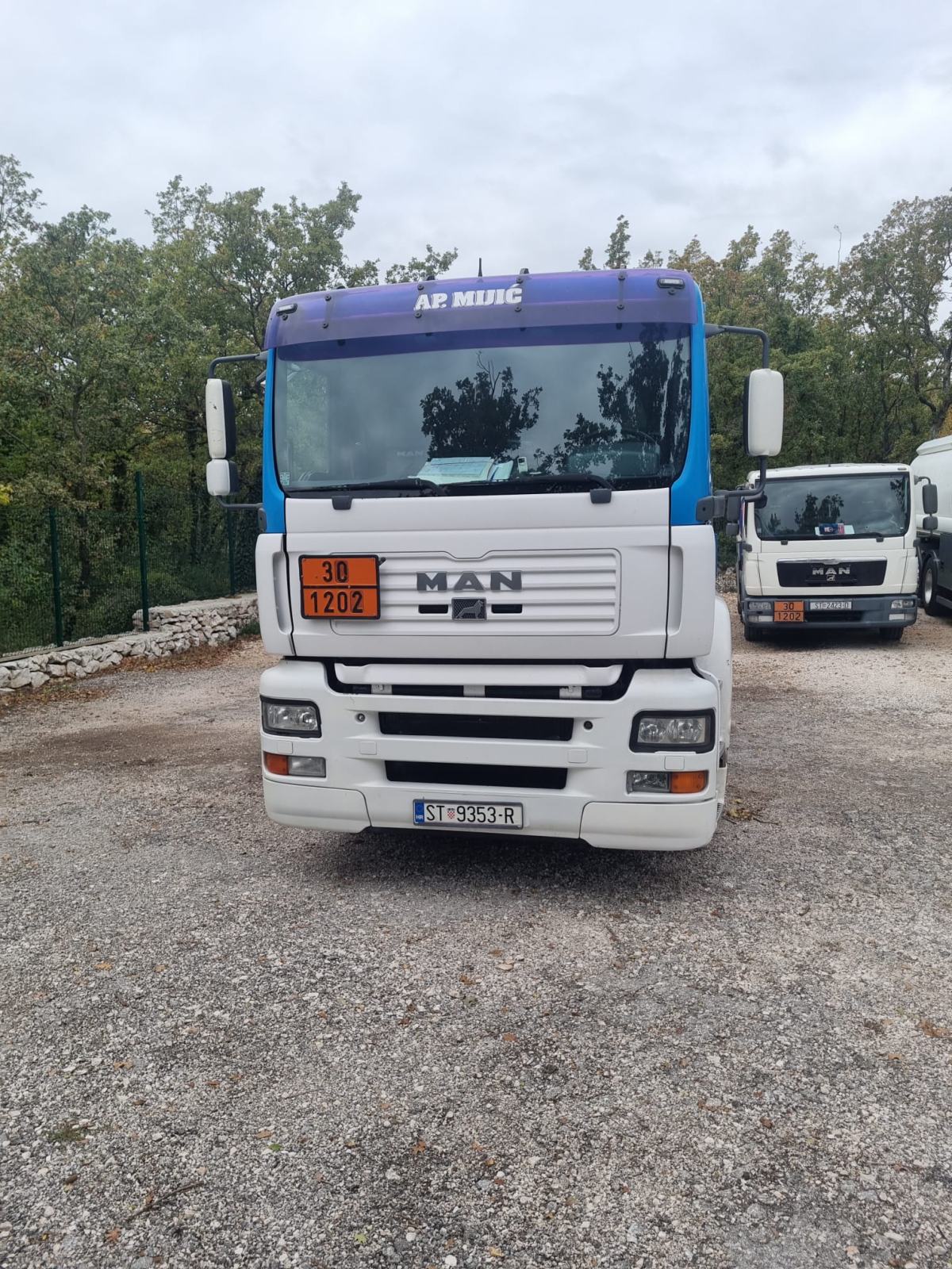 MAN TGA 18.460, 2002 god.