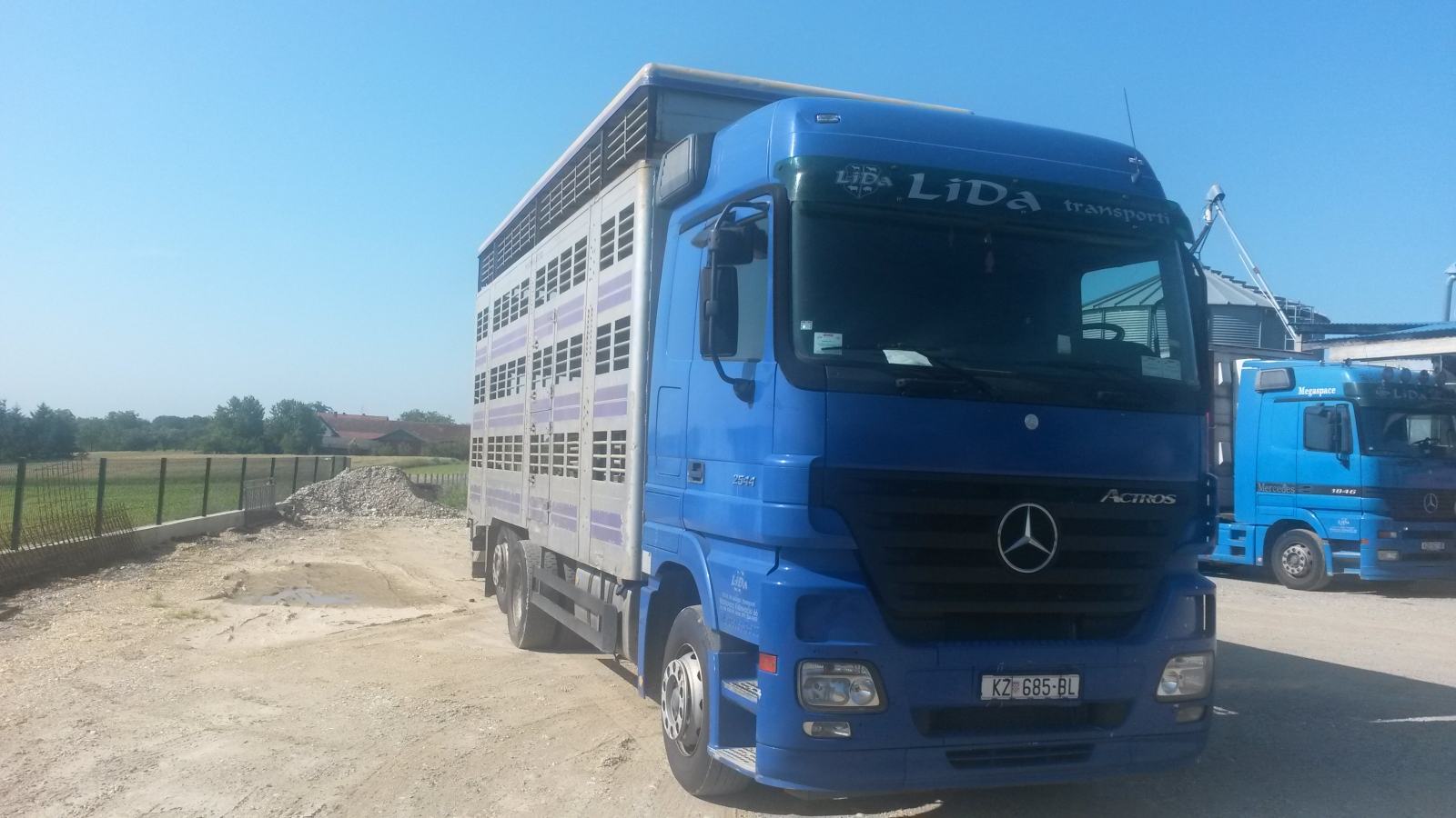 sanduk stočarski michiletto-SAMO SAMDUK, 2003 god.