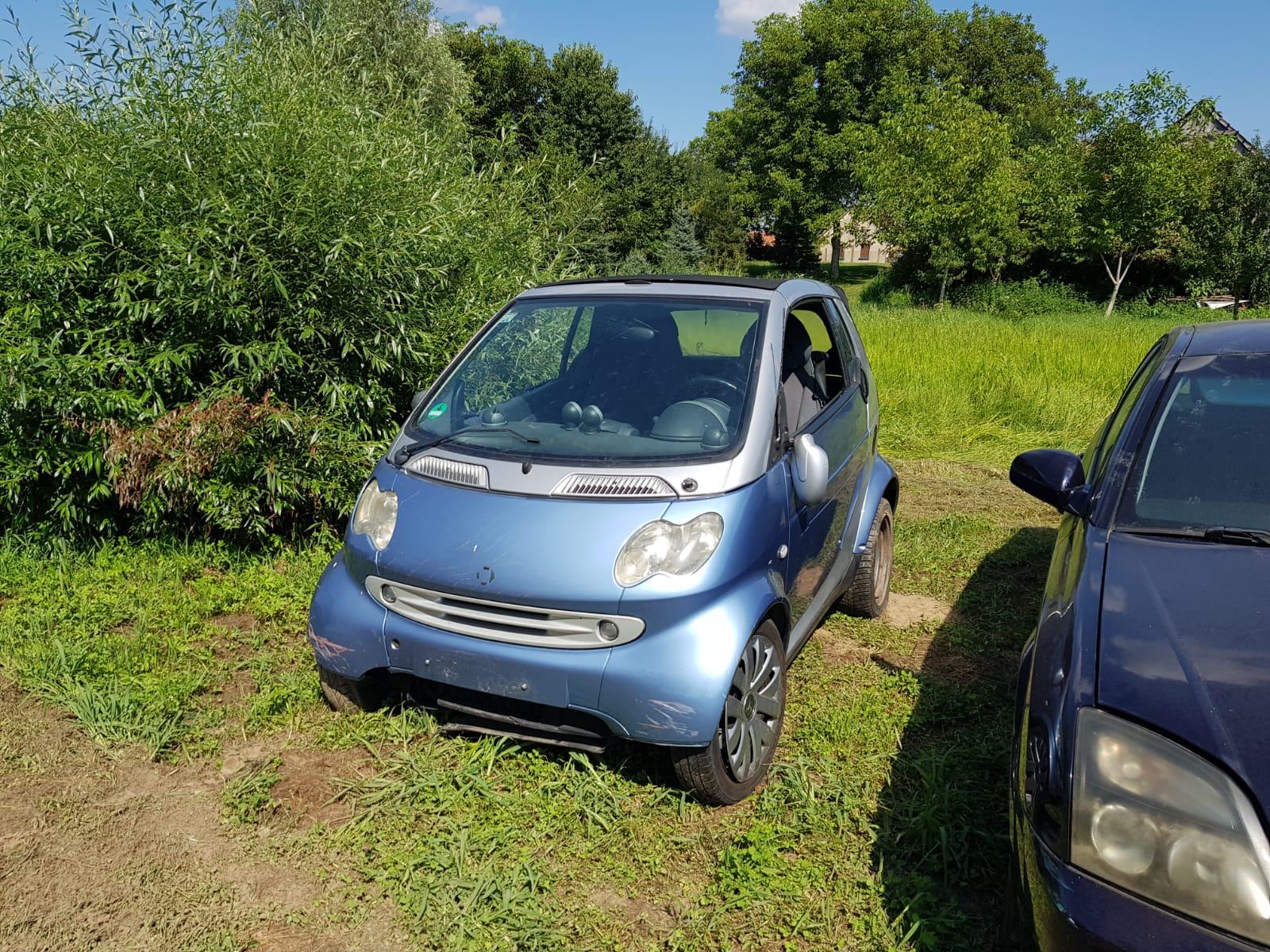 Smart fortwo cabrio Pulse Softip, 2004 god.