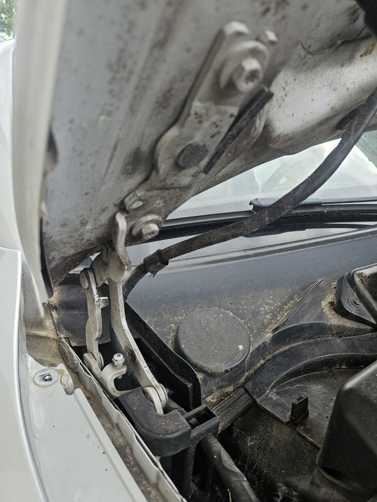 BMW E87 E81 ŠKARE HAIBE