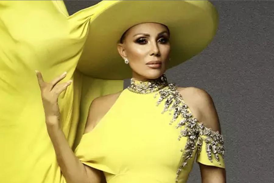 LEPA BRENA ZAGREB PRVI I DRUGI KONCERT-PARTER