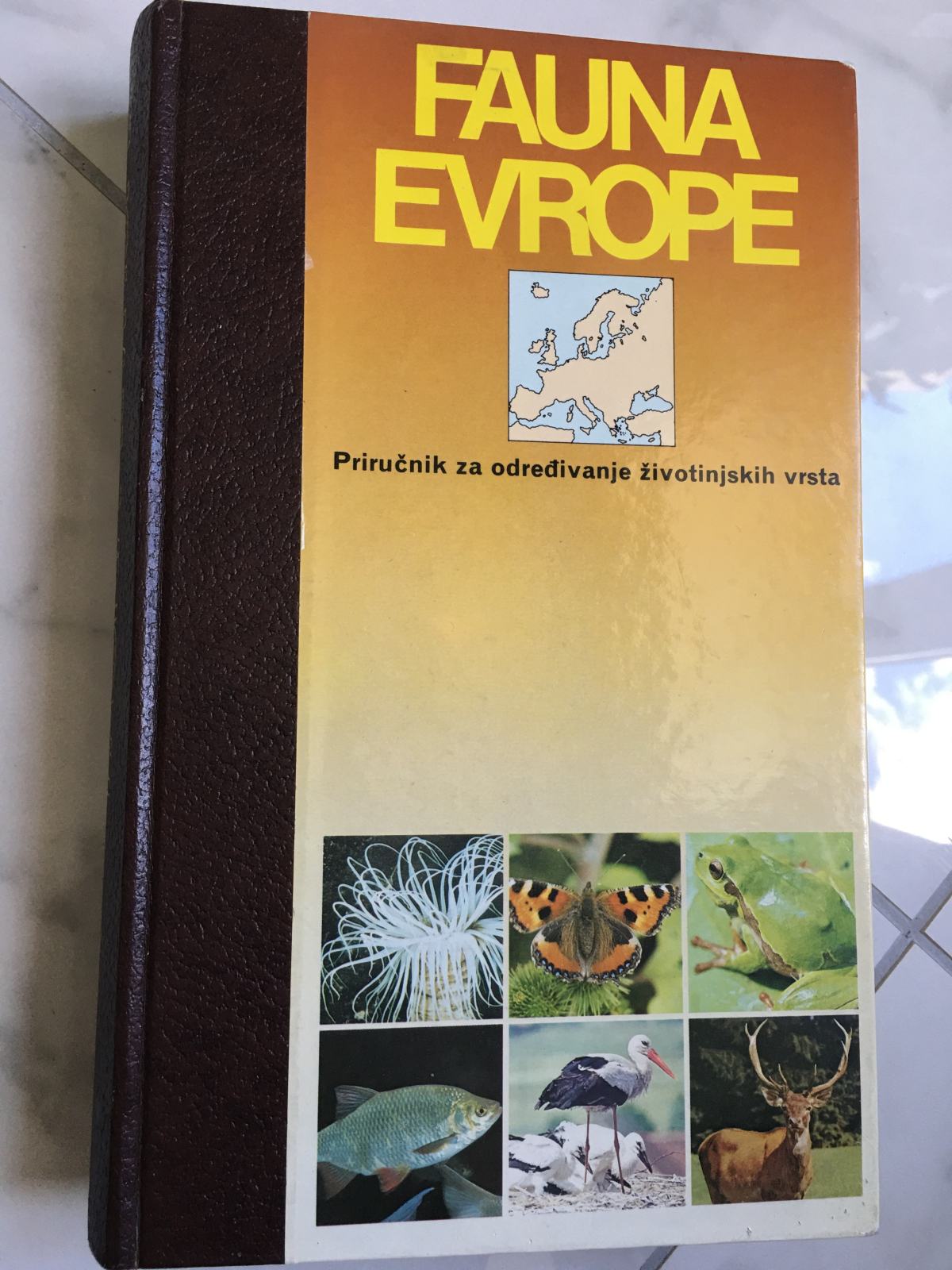 FAUNA EVROPE - Priručnik za određivanje vrsta