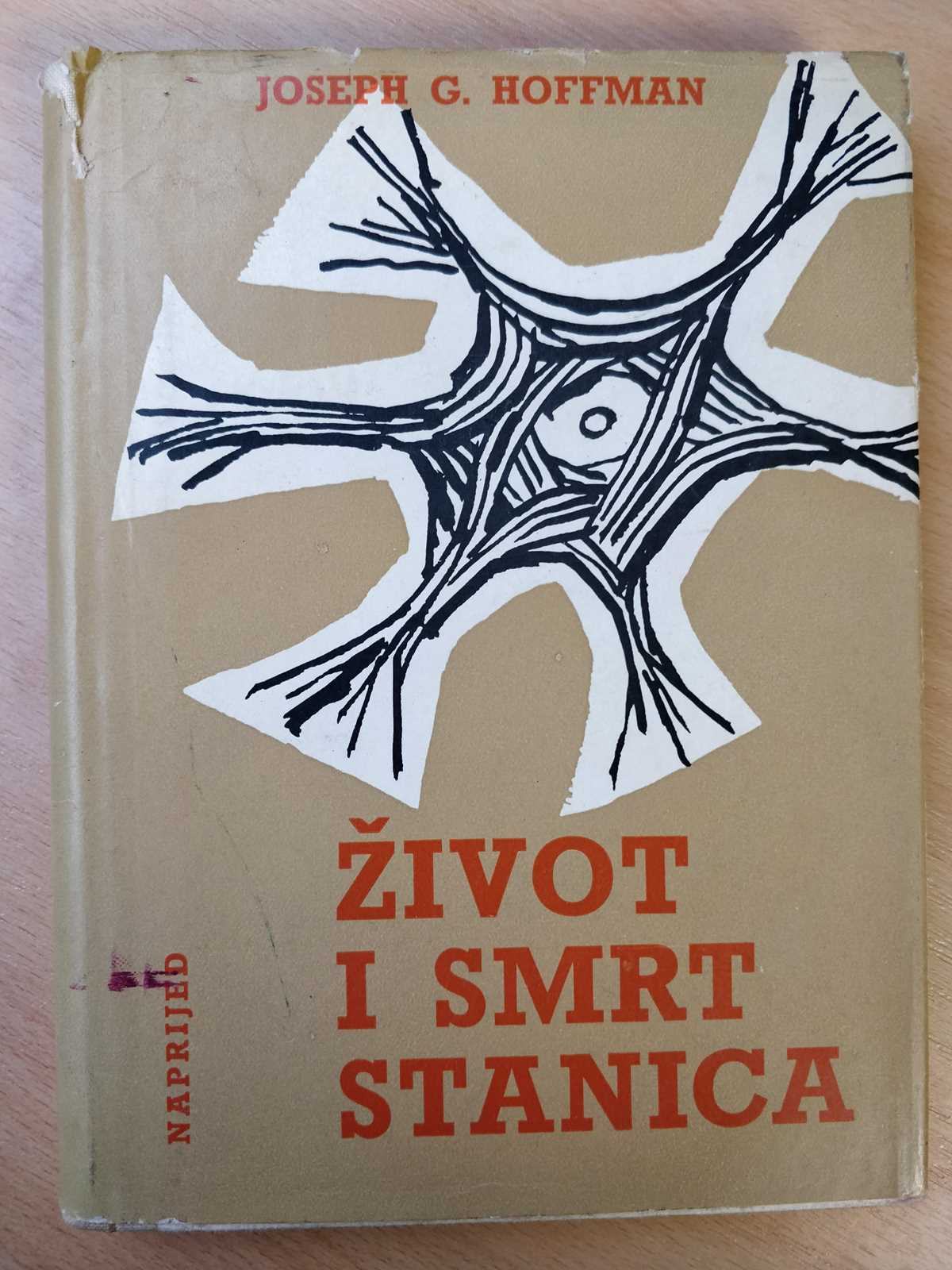 Joseph G. Hoffman - Život i smrt stanica