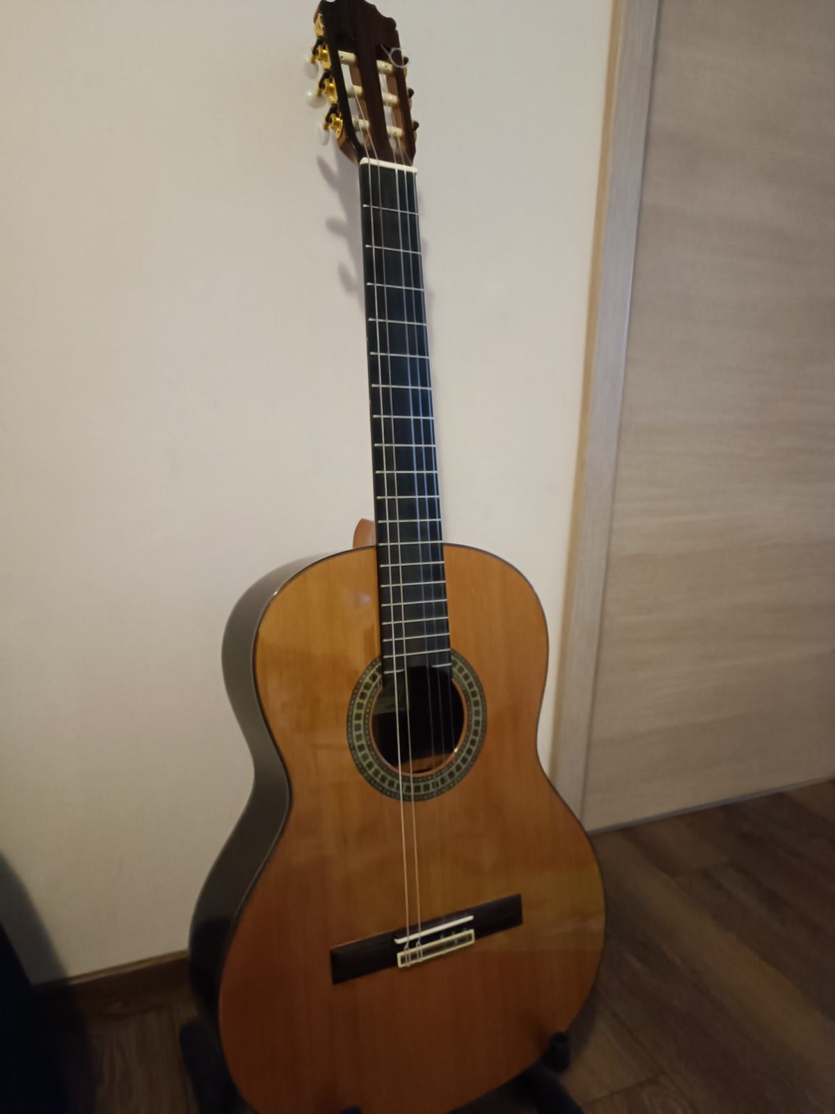 Gitara Paco Castillo 204