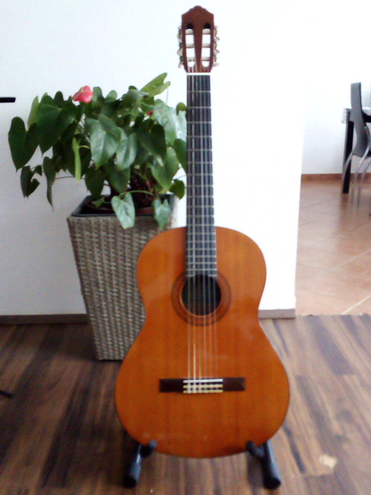 Gitara Yamaha C 40