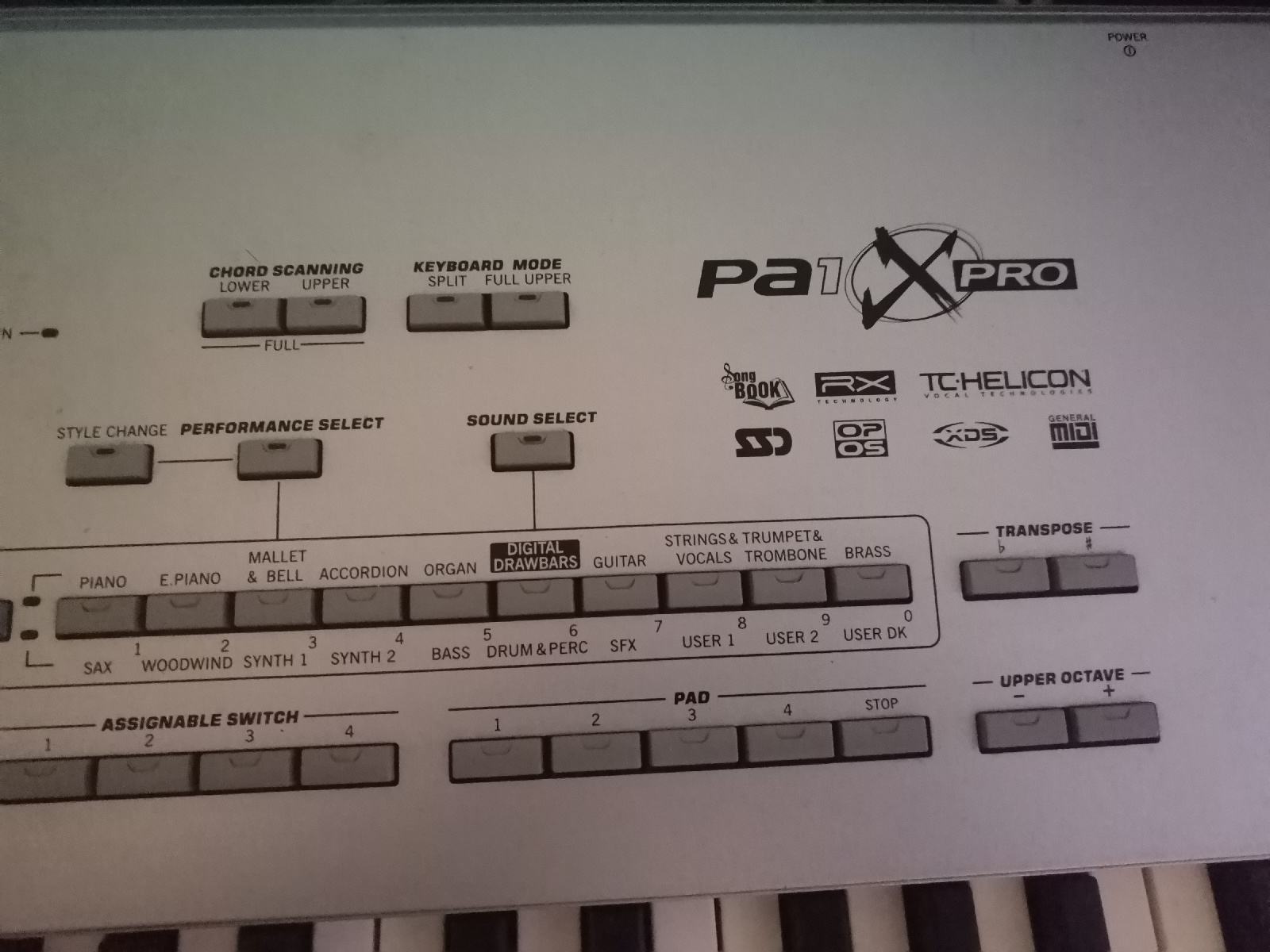 korg pa1xpro