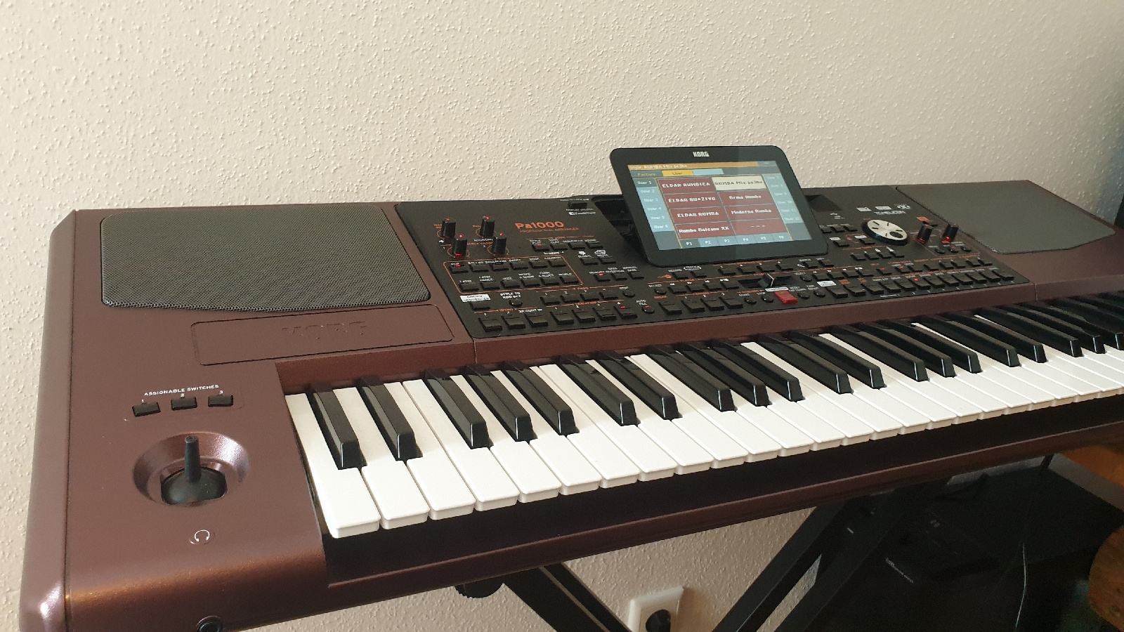 Korg Pa 1000