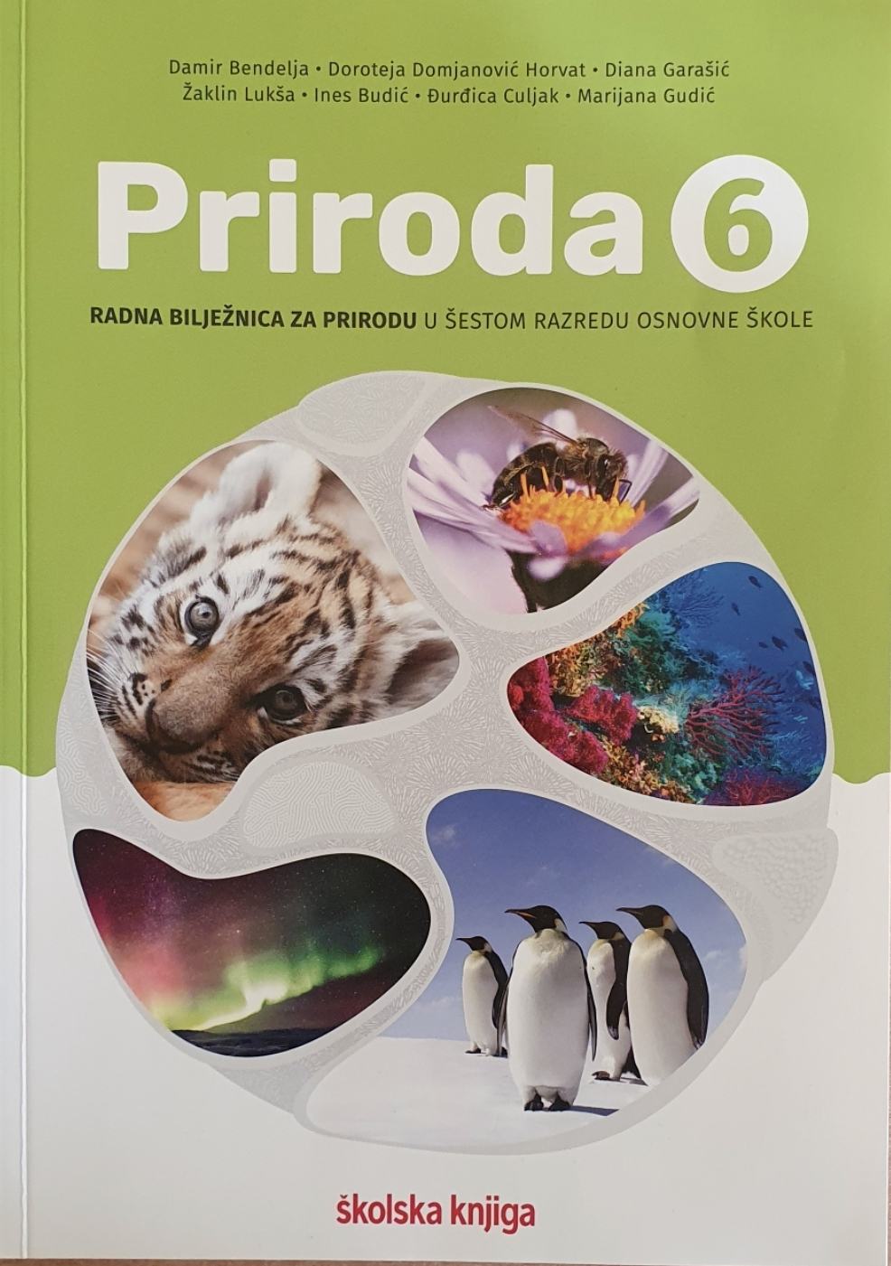 Priroda 6 radna bilježnica Školska knjiga NOVO