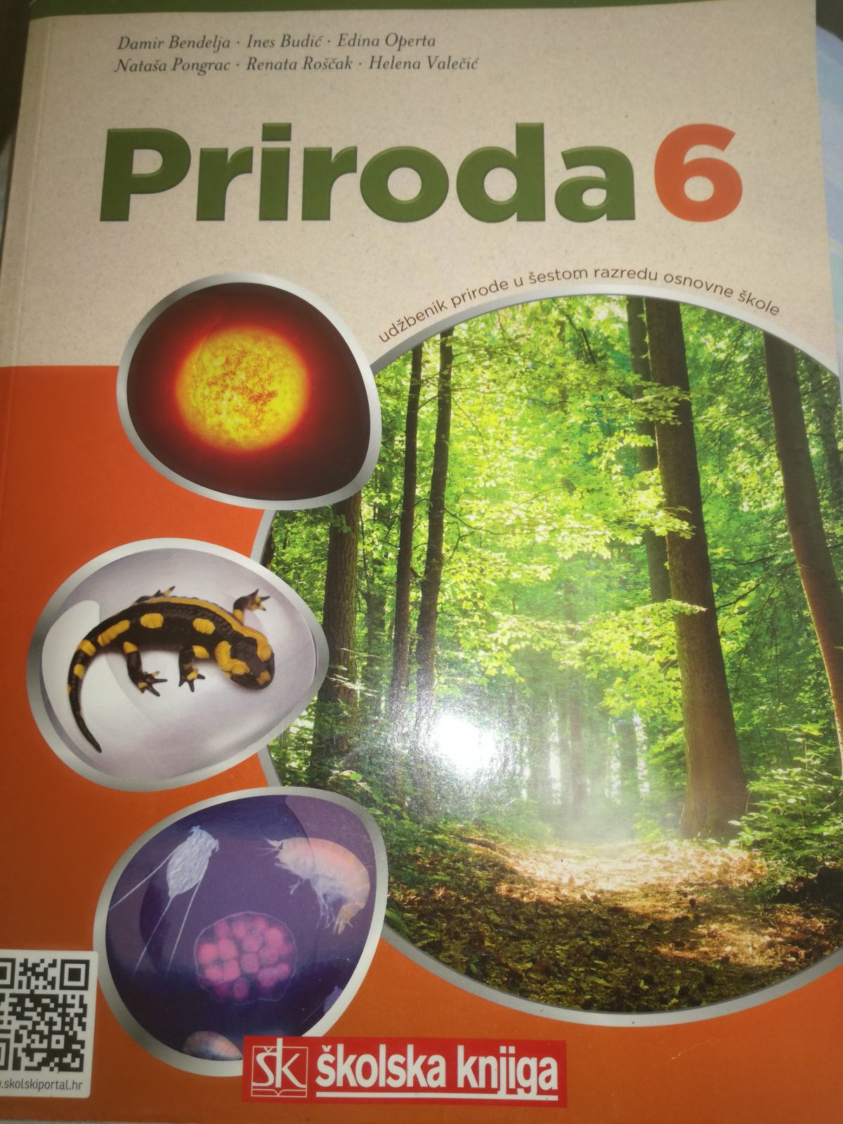 Udžbenici za 6 razred Osnovne Škole