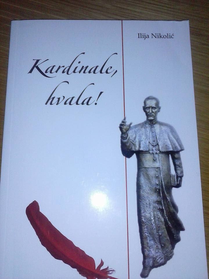 Kardinale, hvala! : Ilija Nikolić