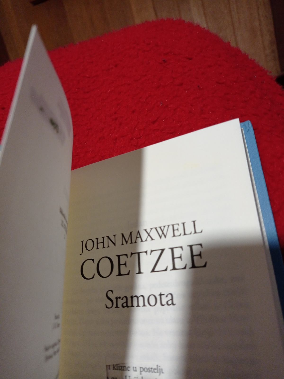 J.Maxwell Coetzee Sramota
