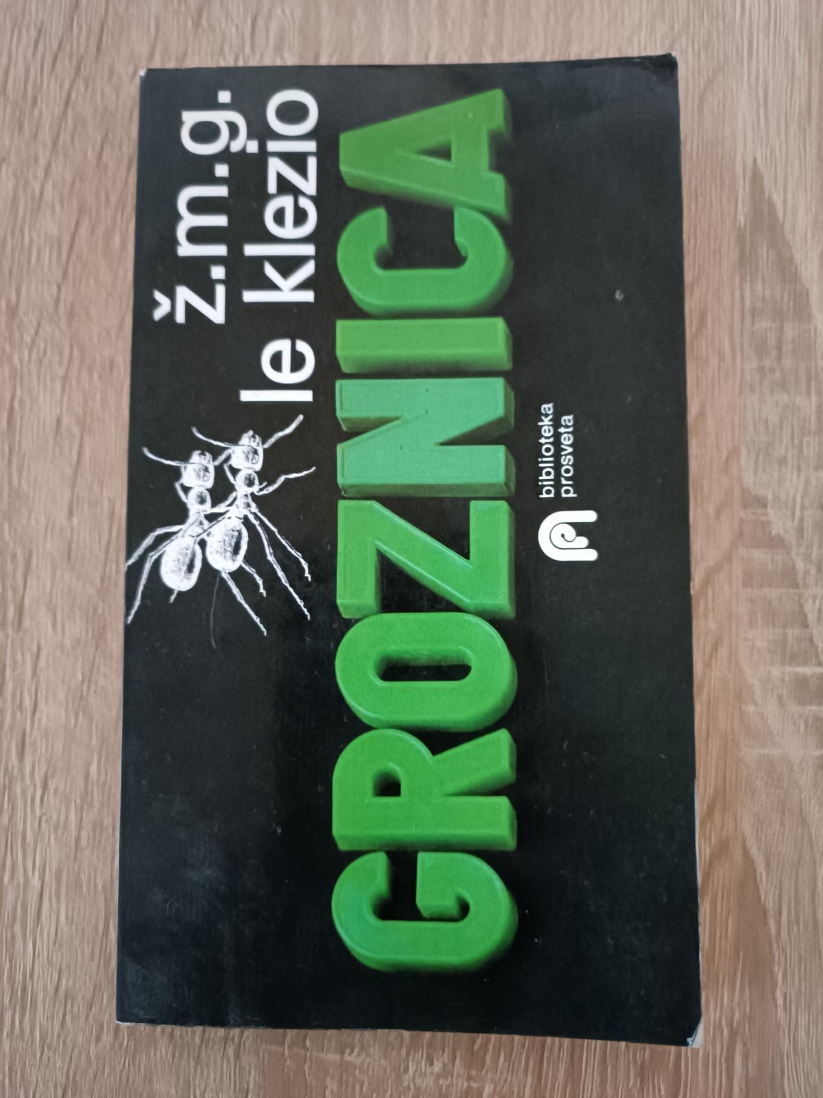 Jean-Marie Gustave Le Clézio : Groznica