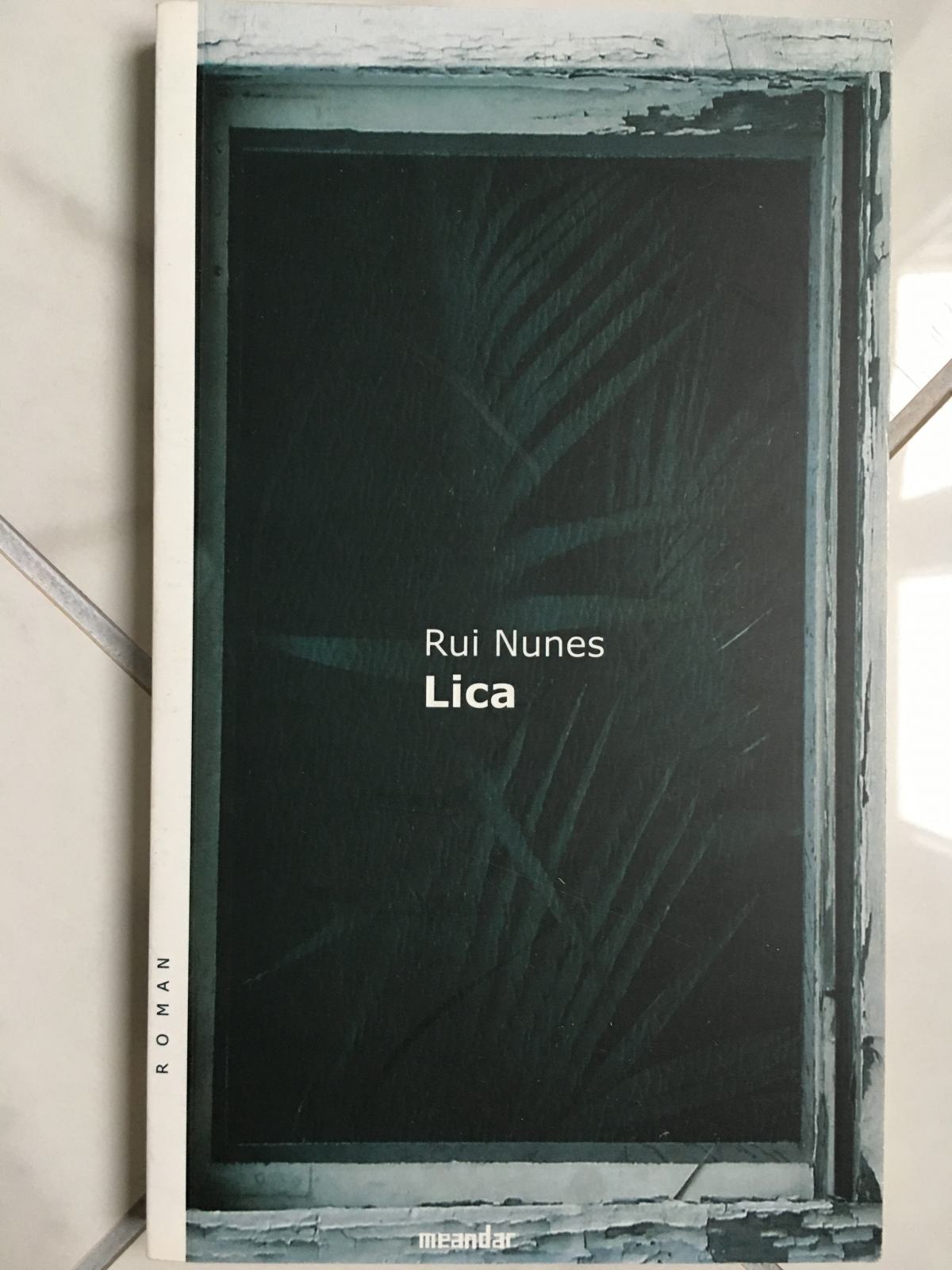 RUI NUNES, Lica