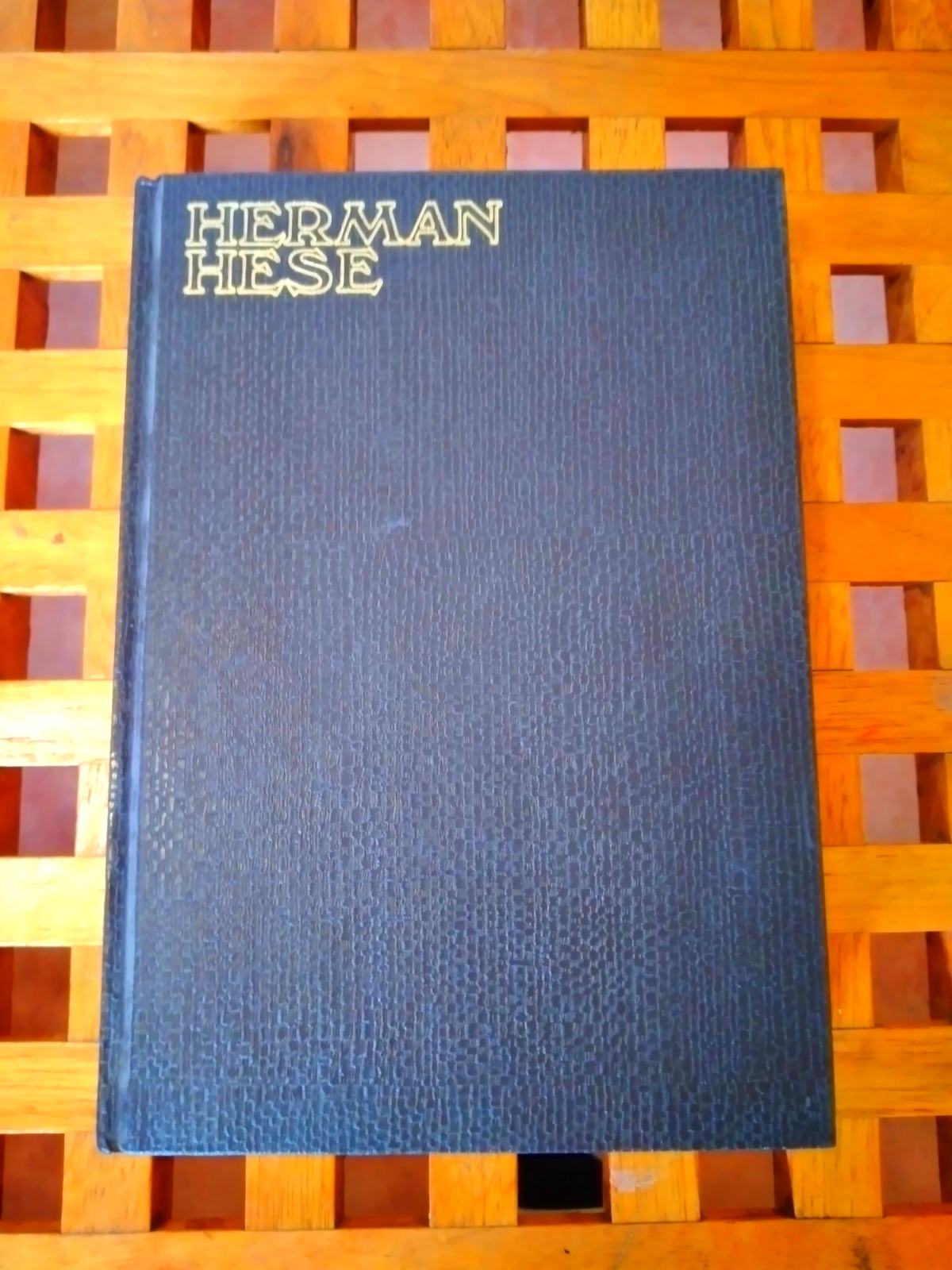 STEPSKI VUK, PREKINUTI ŠKOLSKI ČAS, HODOČAŠĆE HERMAN HESSE 1983