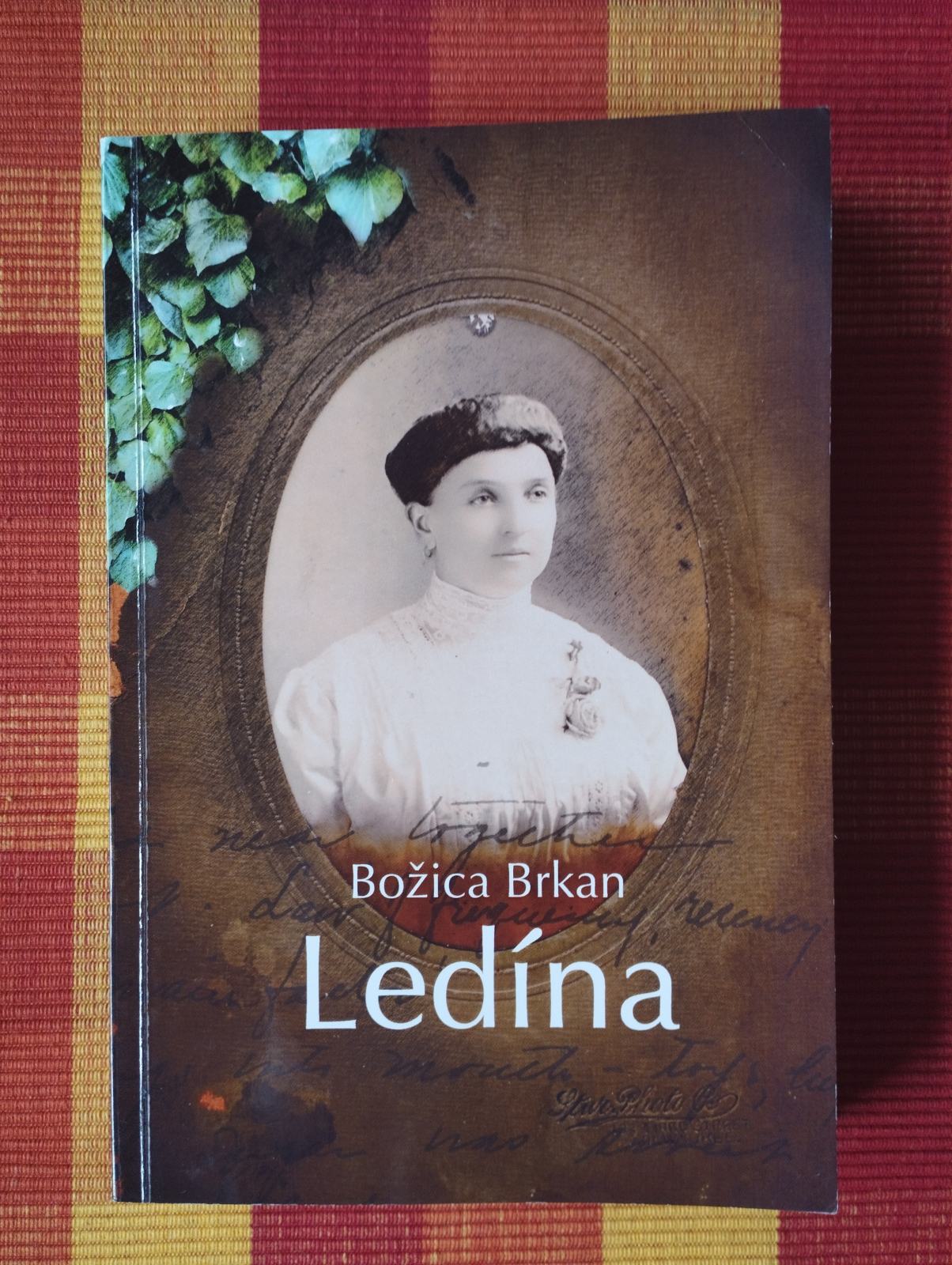 Božica Brkan - Ledina