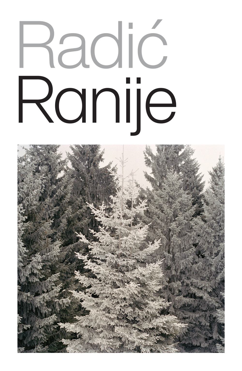 Damir Radić: Ranije