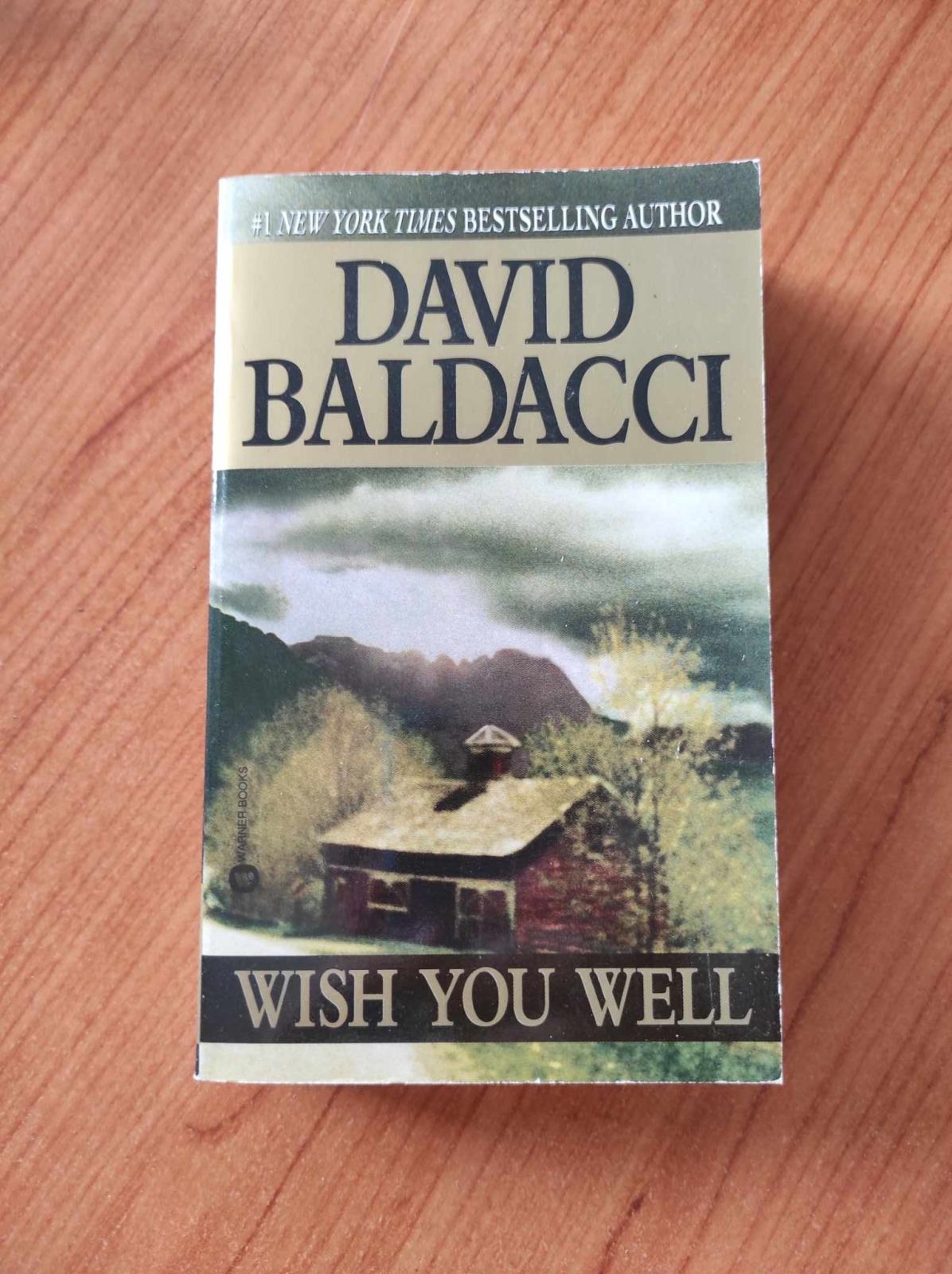 David Baldacci - Wish you well