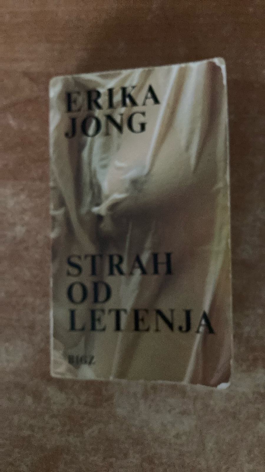ERICA JONG:STRAH OD LETENJA