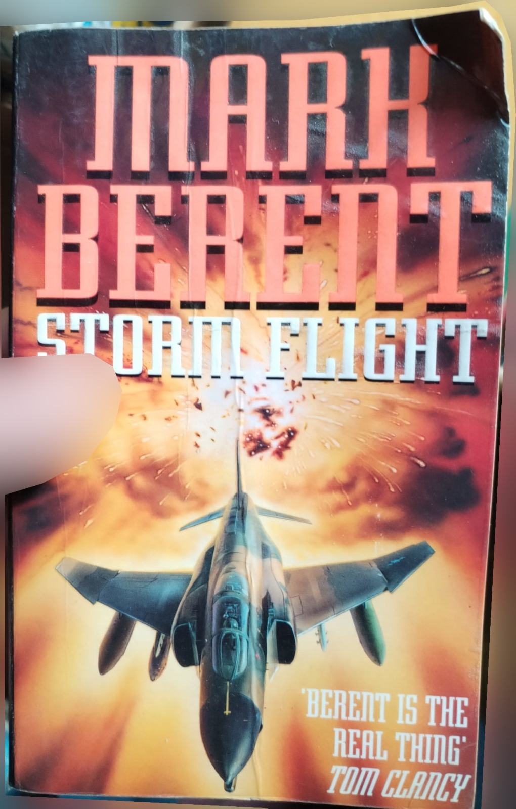 Mark Berent - Storm flight