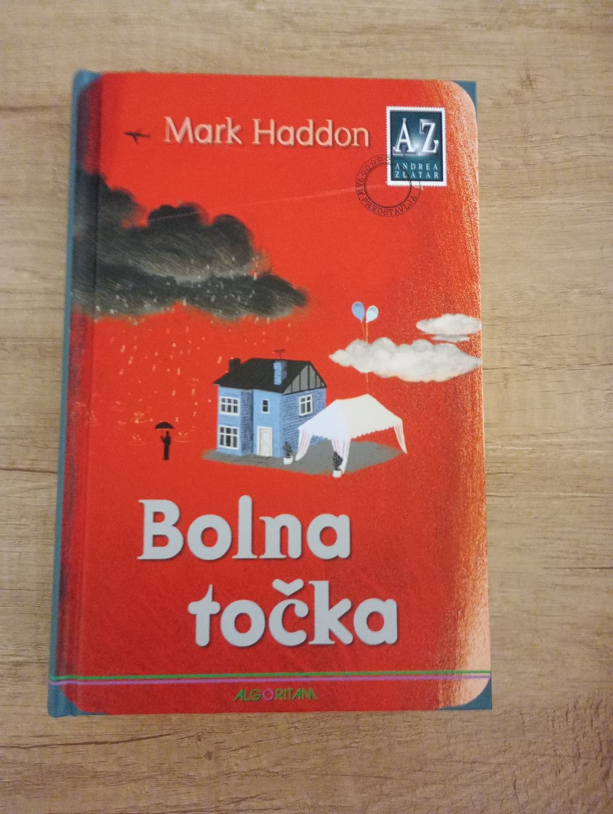 MARK HADDON, Bolna točka