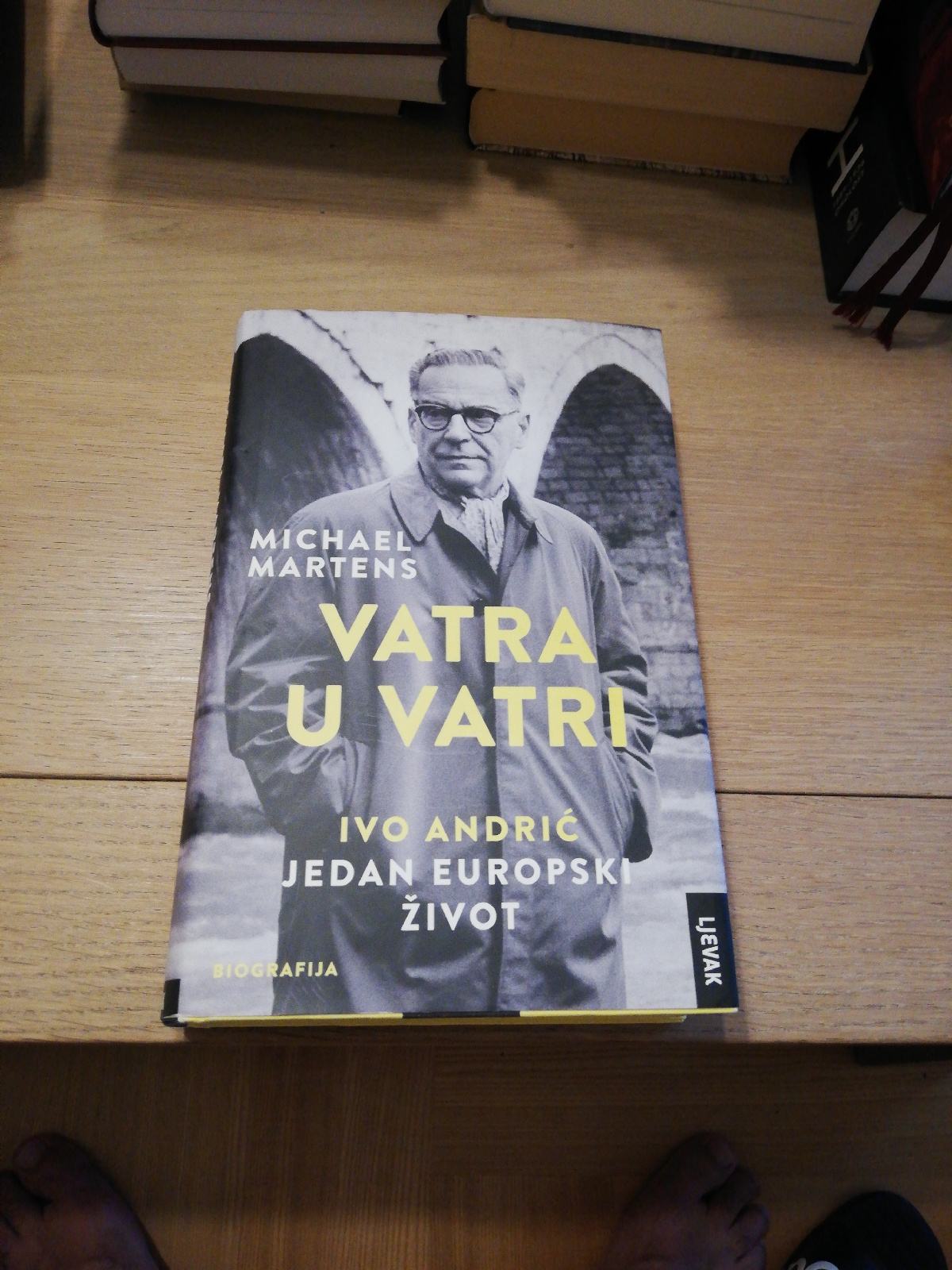 Michael Martens, Vatra u vatri, Ivo Andrić jedan europski život