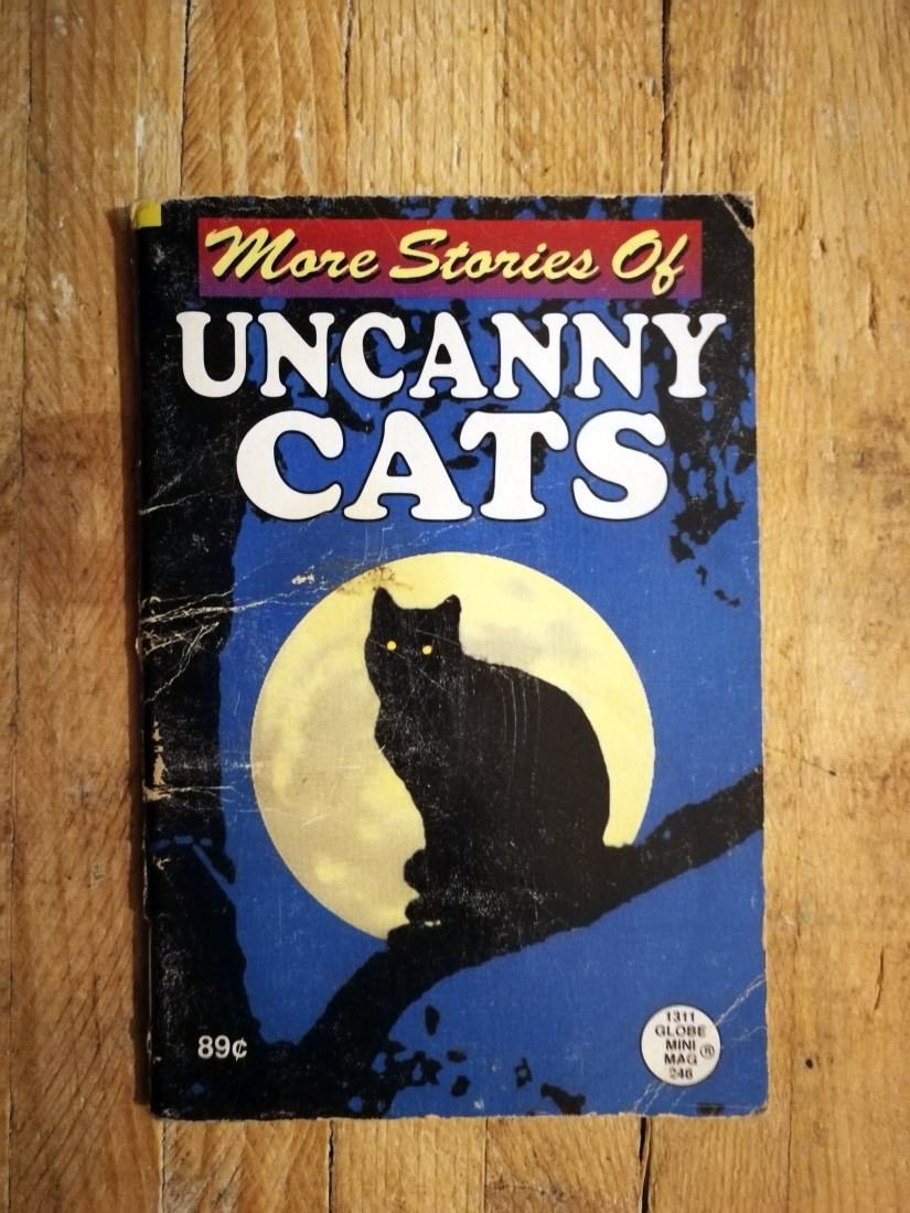 More stories of uncanny cats