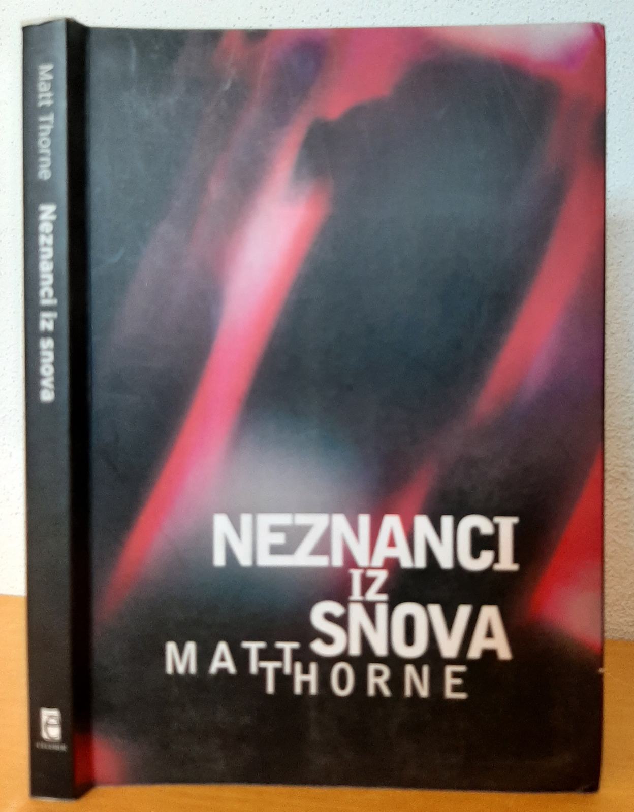 Neznanci iz snova - Matt Thorne