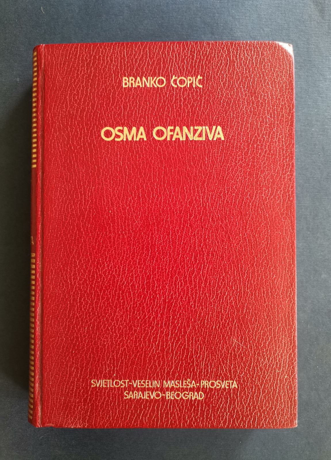OSMA OFANZIVA, Branko Ćopić