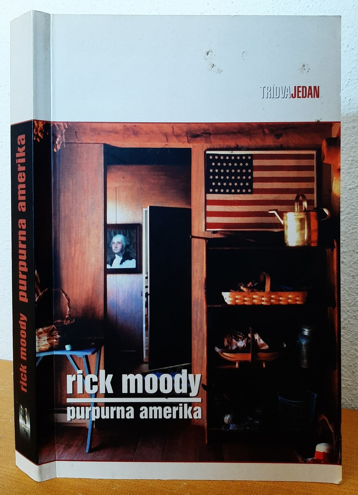 Purpurna Amerika - Rick Moody