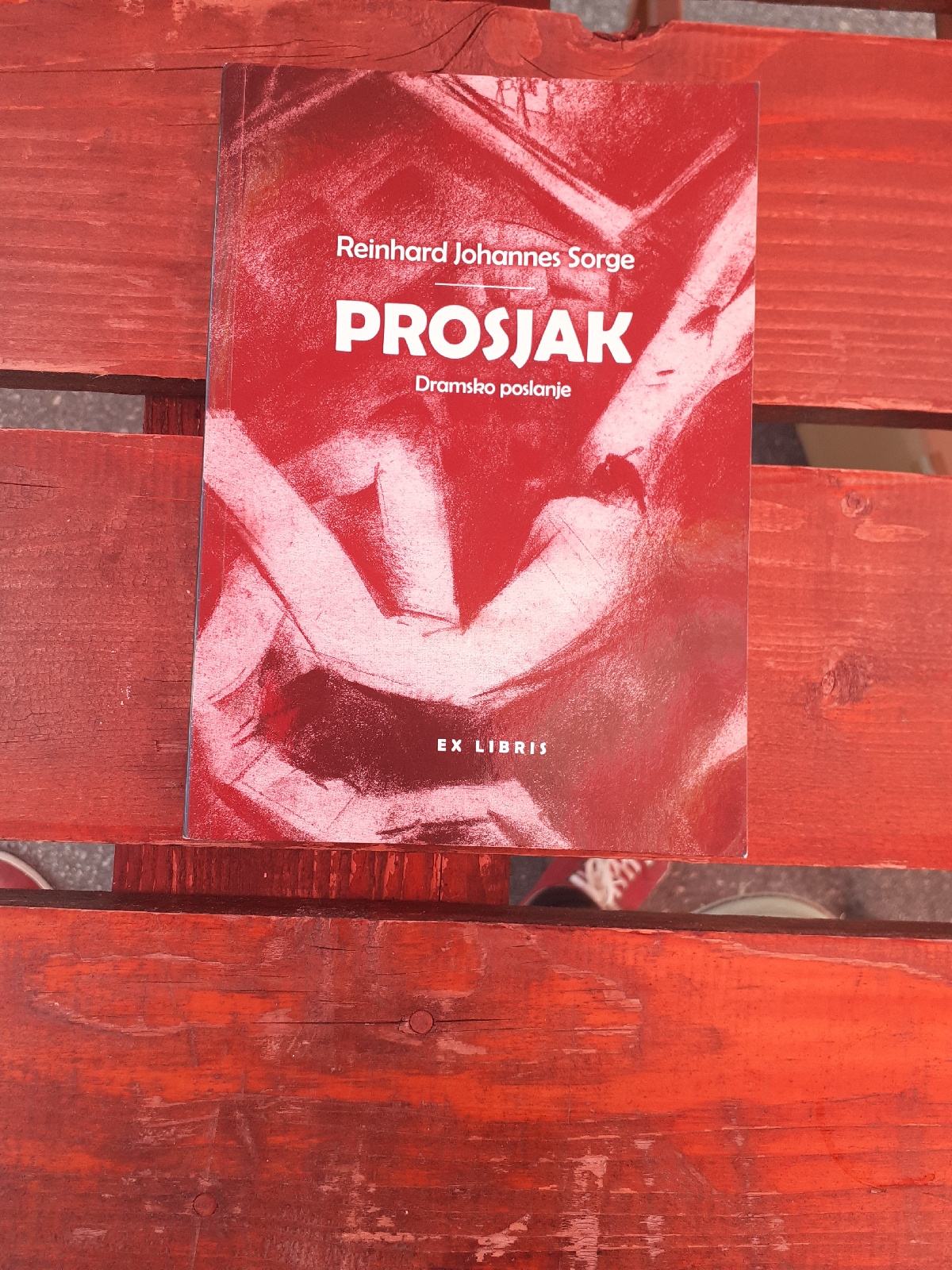 Reinhard Johannes Sorge: Prosjak