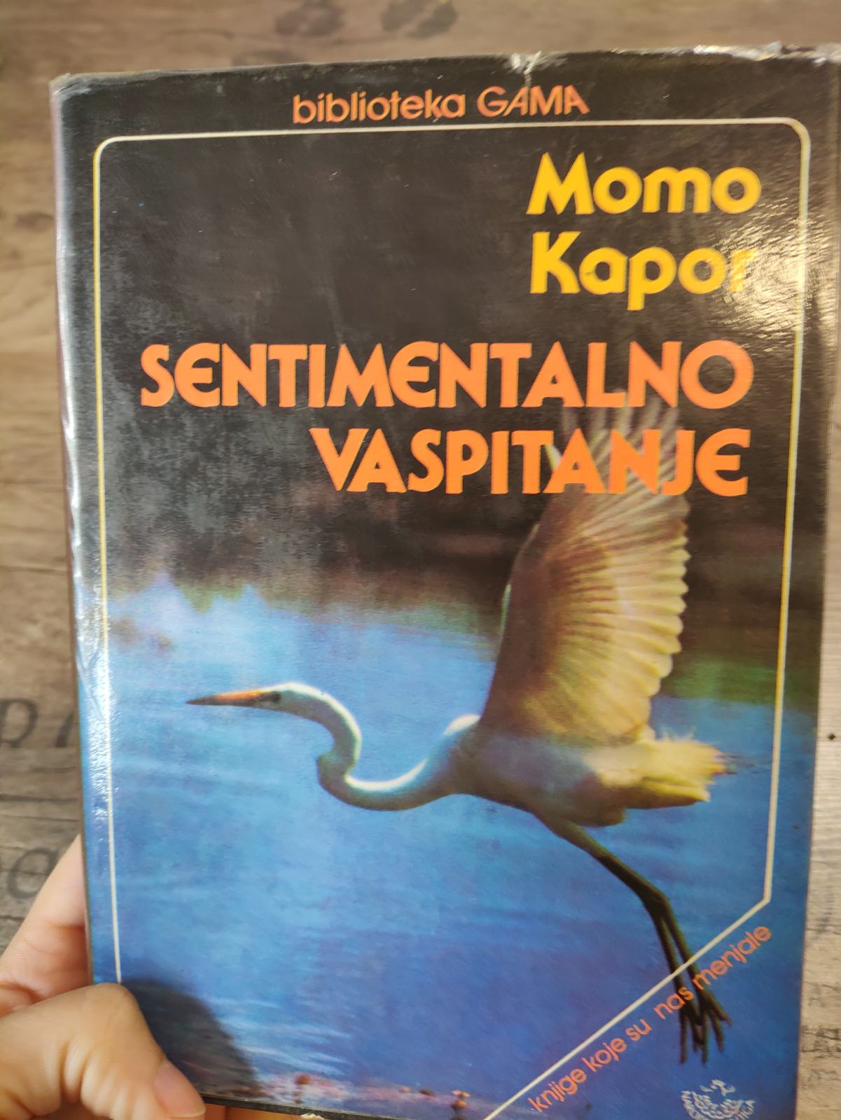 Sentimentalno vaspitanje - Momo Kapar
