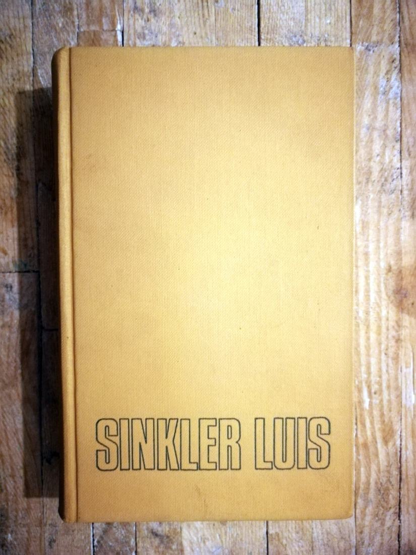 Sinkler Luis - En Vikers (Sinclair Lewis - Ann Vickers)