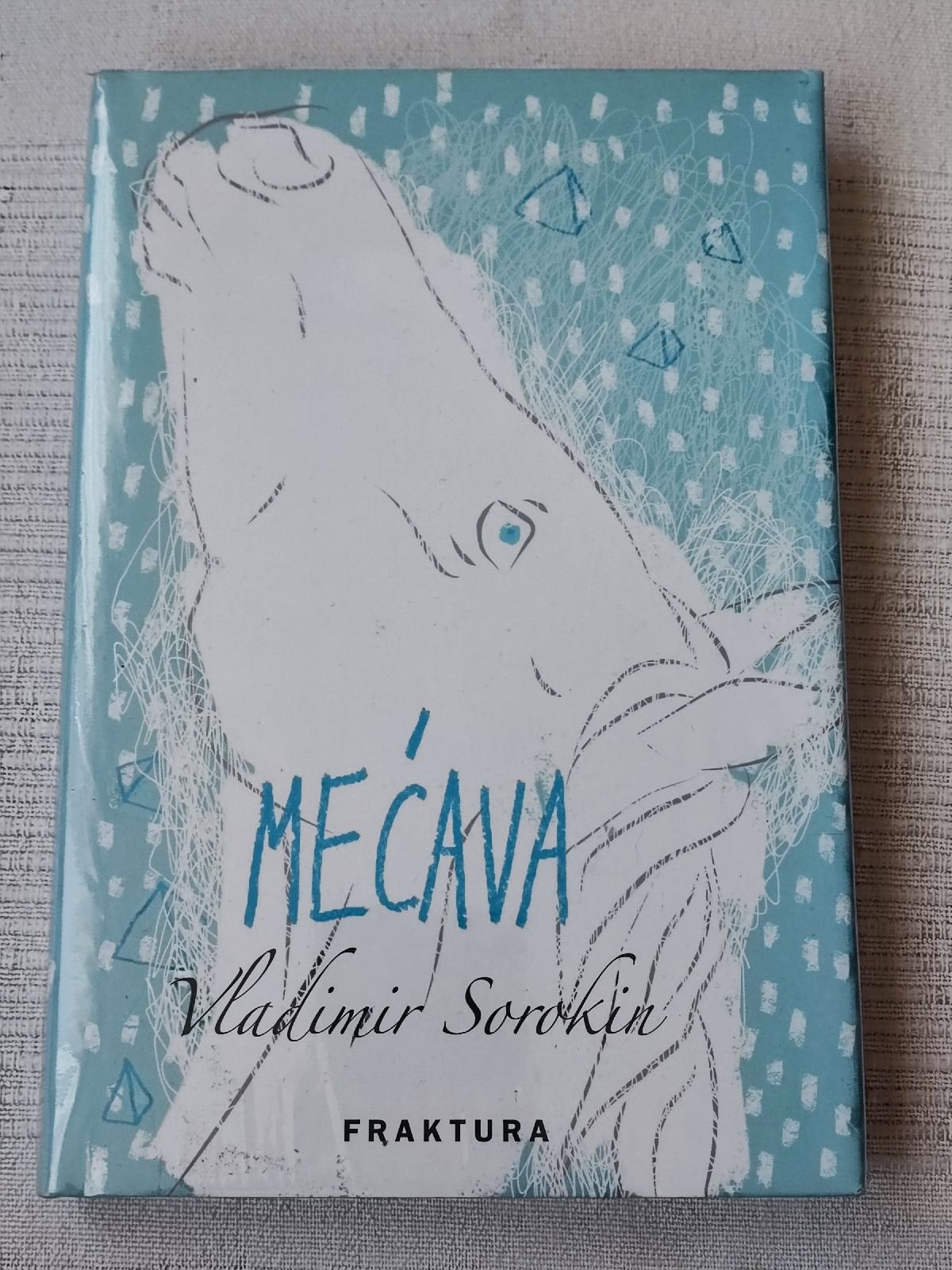Vladimir Sorokin Mećava