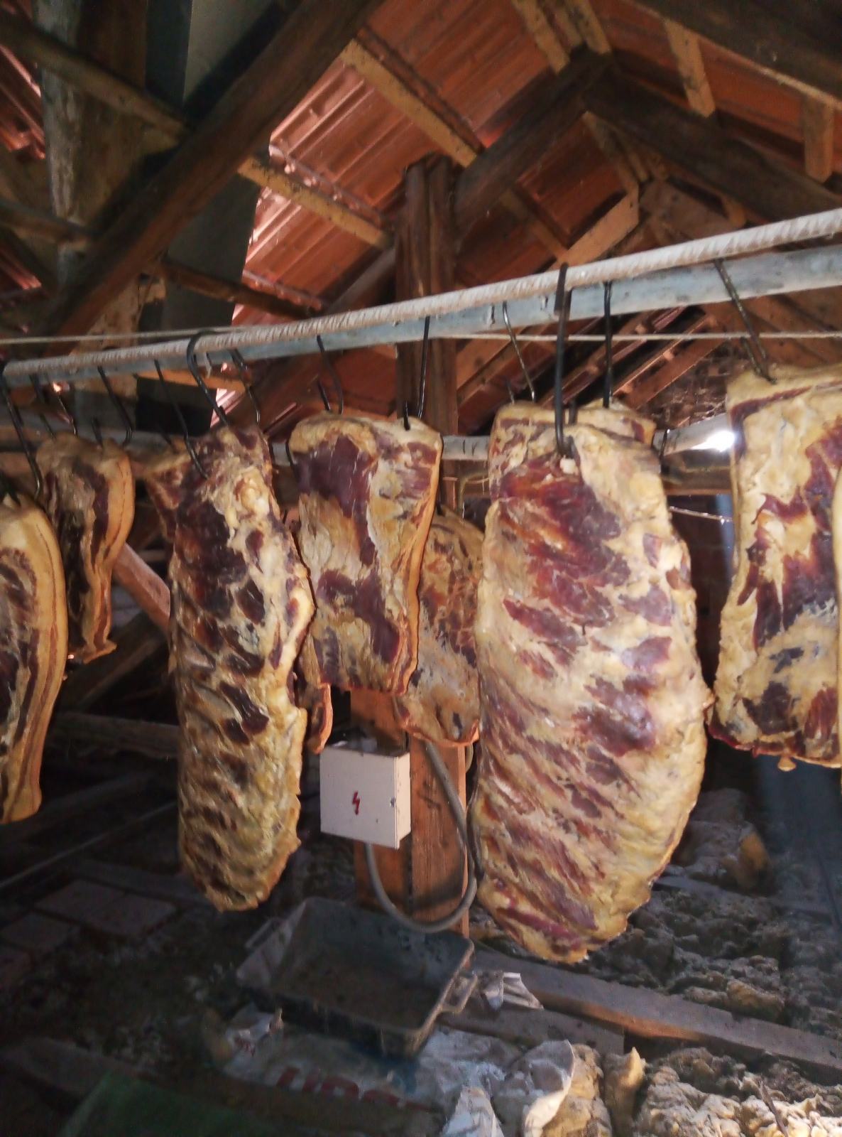 Prodajem slaninu i rebra