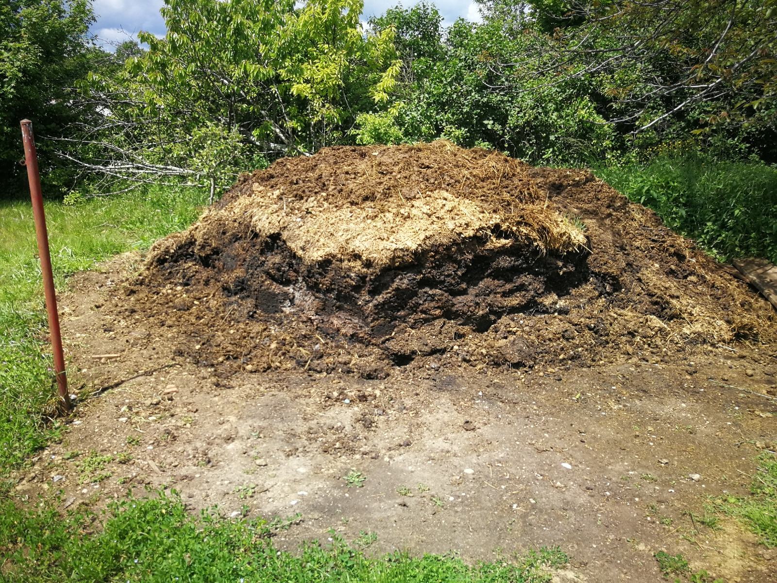 Gnoj konjski! #BESPLATNA DOSTAVA#