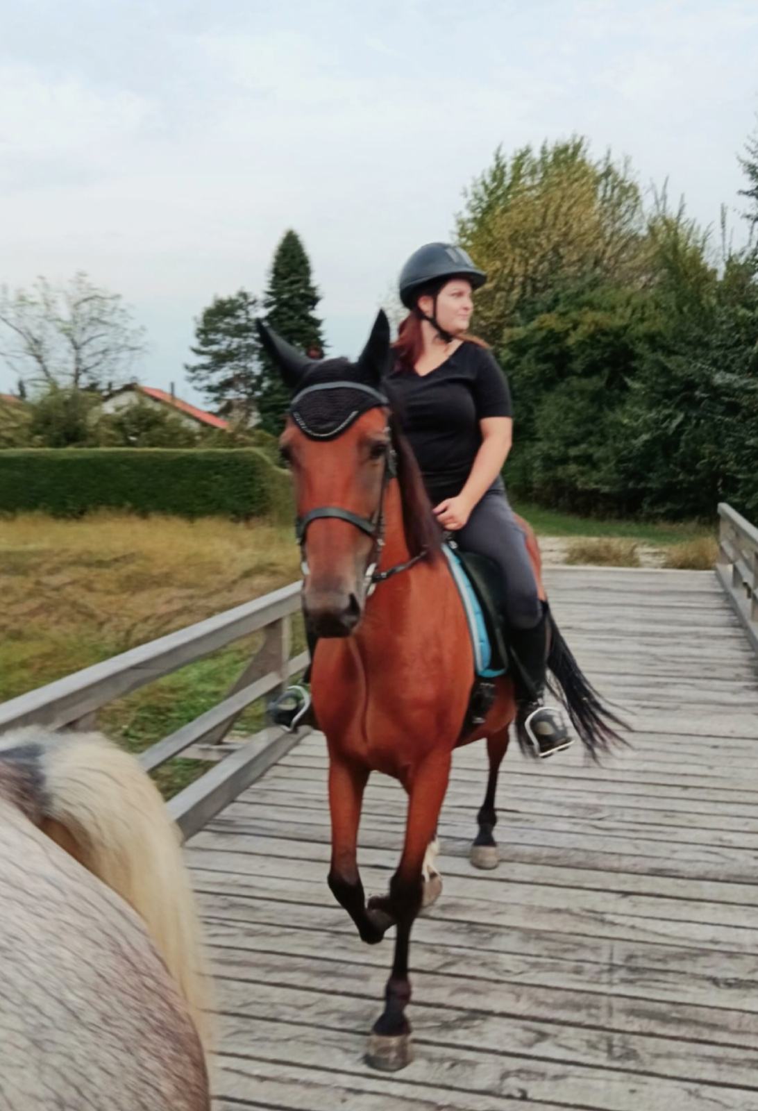 Hrvatski Kasač (Kastrat)