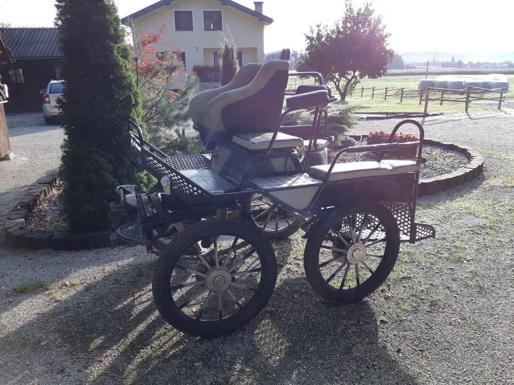 Maratonski fijaker, maratonac, trening fijaker