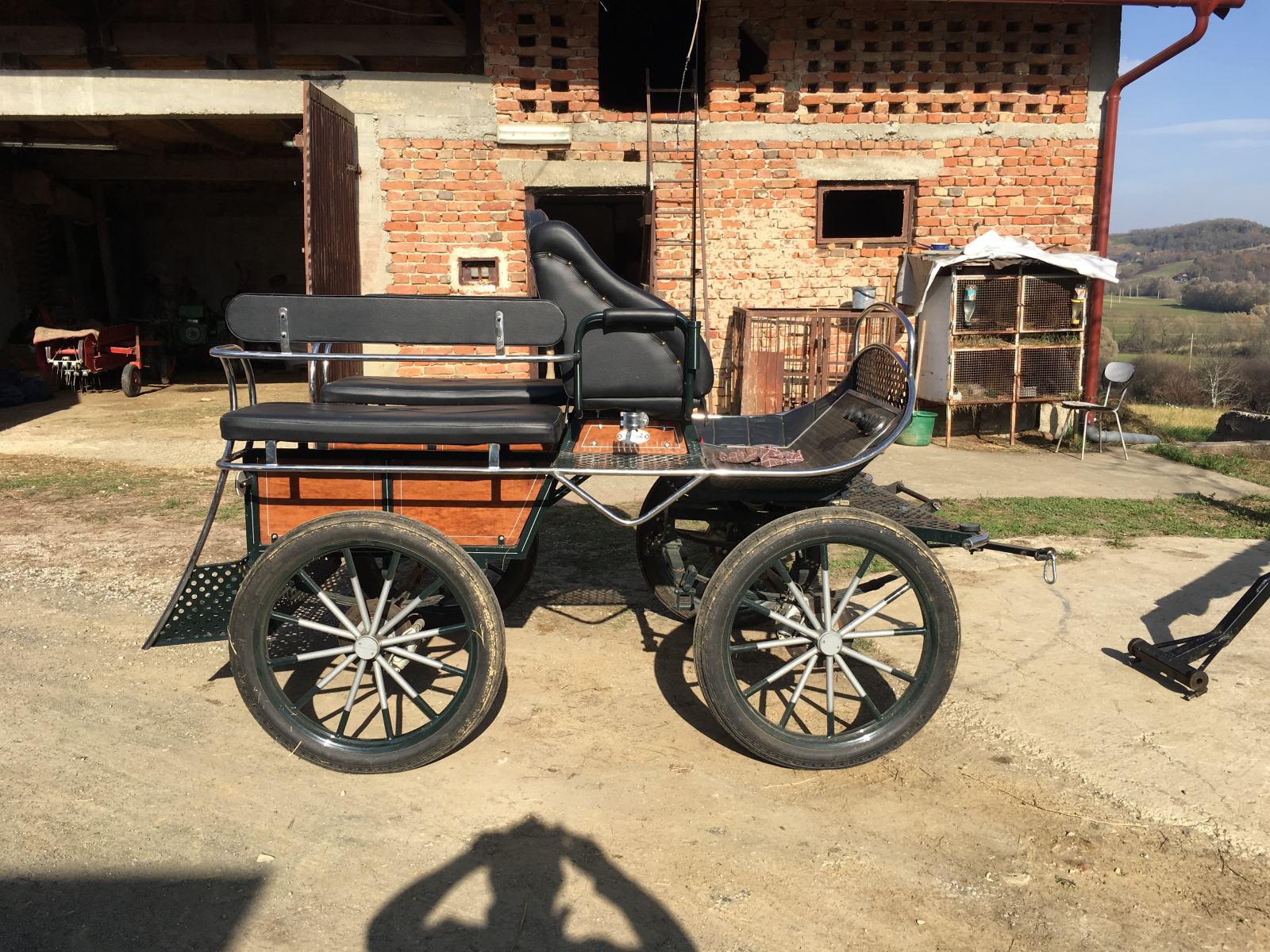 Trening fijaker ( kočija )