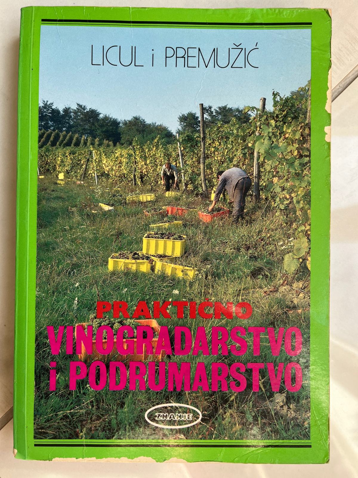 Licul i Premužić, VINOGRADARSTVO I PODRUMARSTVO