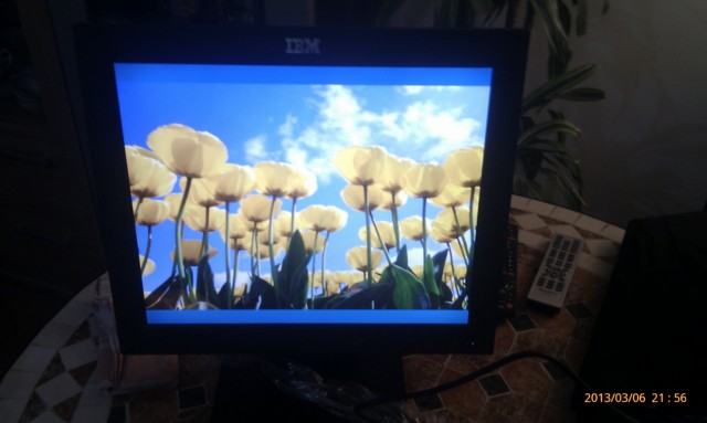 IBM ThinkVision L170 17