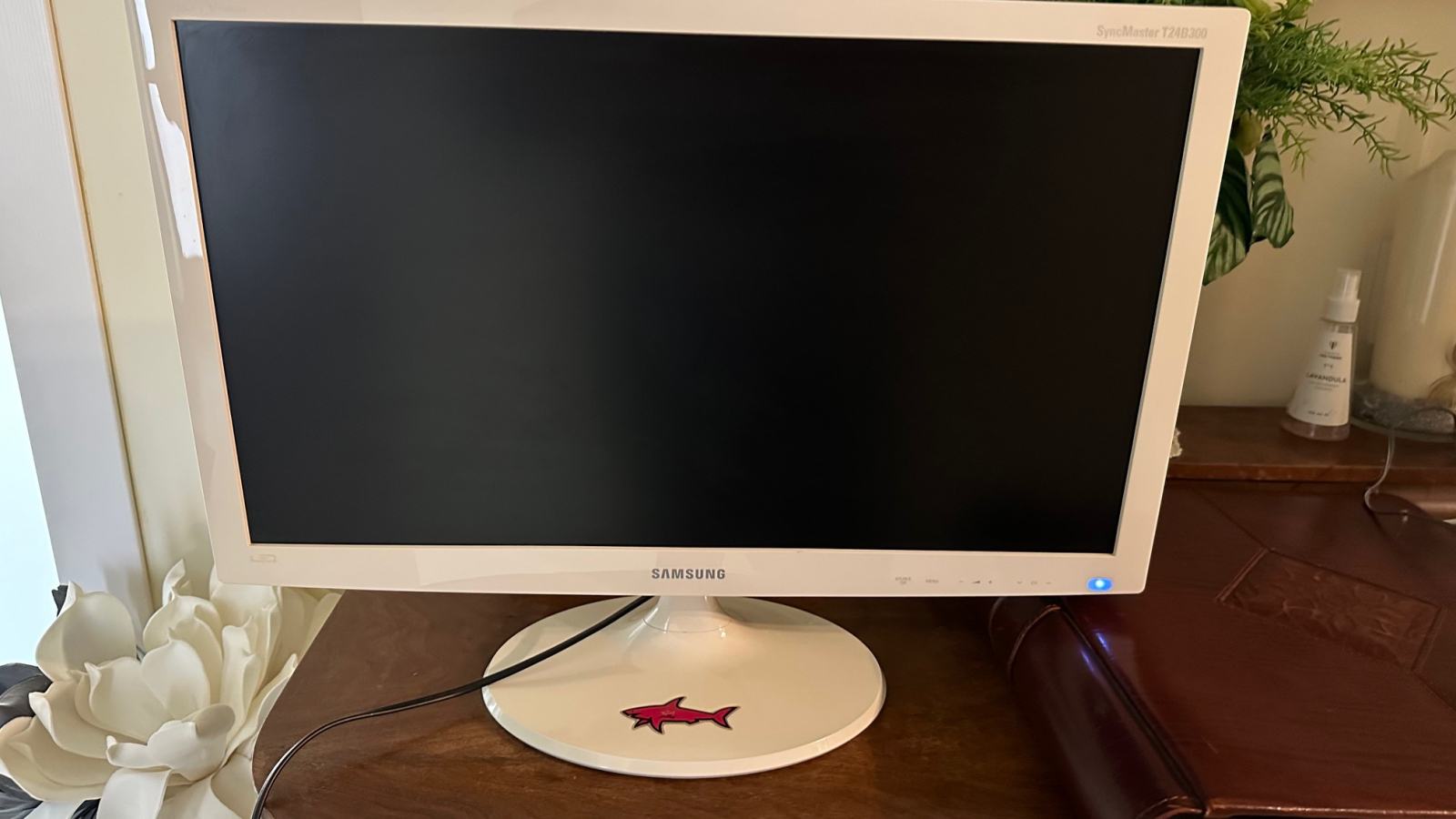 LED TV Samsung T24B300 24 inch (60 cm),1080p Full HD TV ili PC Monitor