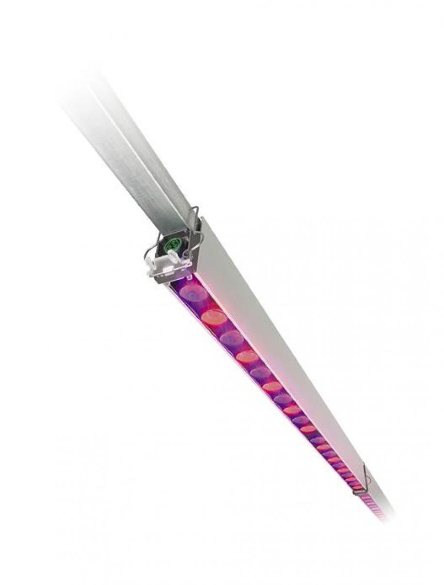 Philips GreenPower LED toplighting -CIJENA JE ZA 12 KOM! (1kom/30Eura)