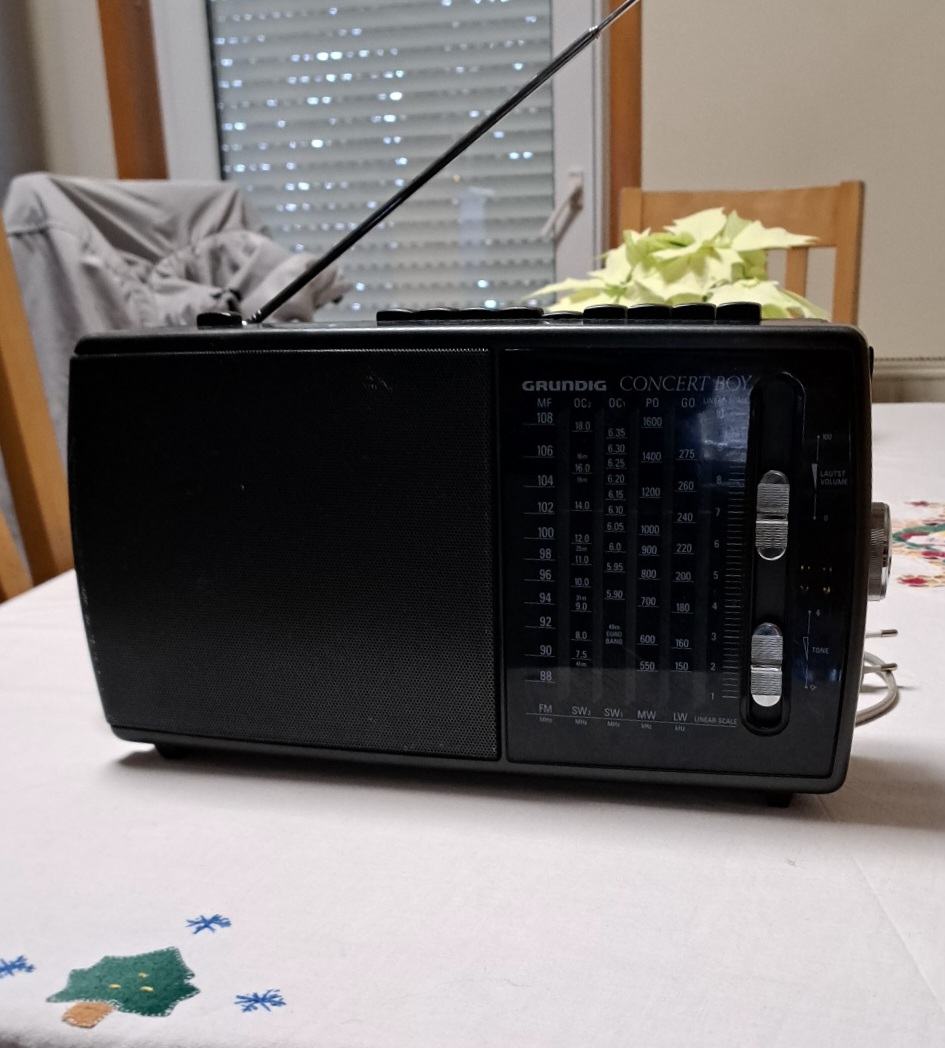 Grunding Concert boy 230