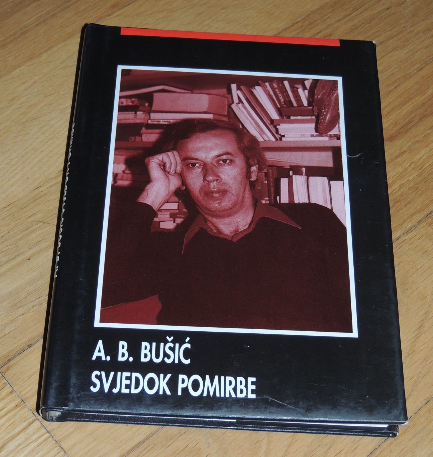 Ante Bruno Bušić Svjedok pomirbe