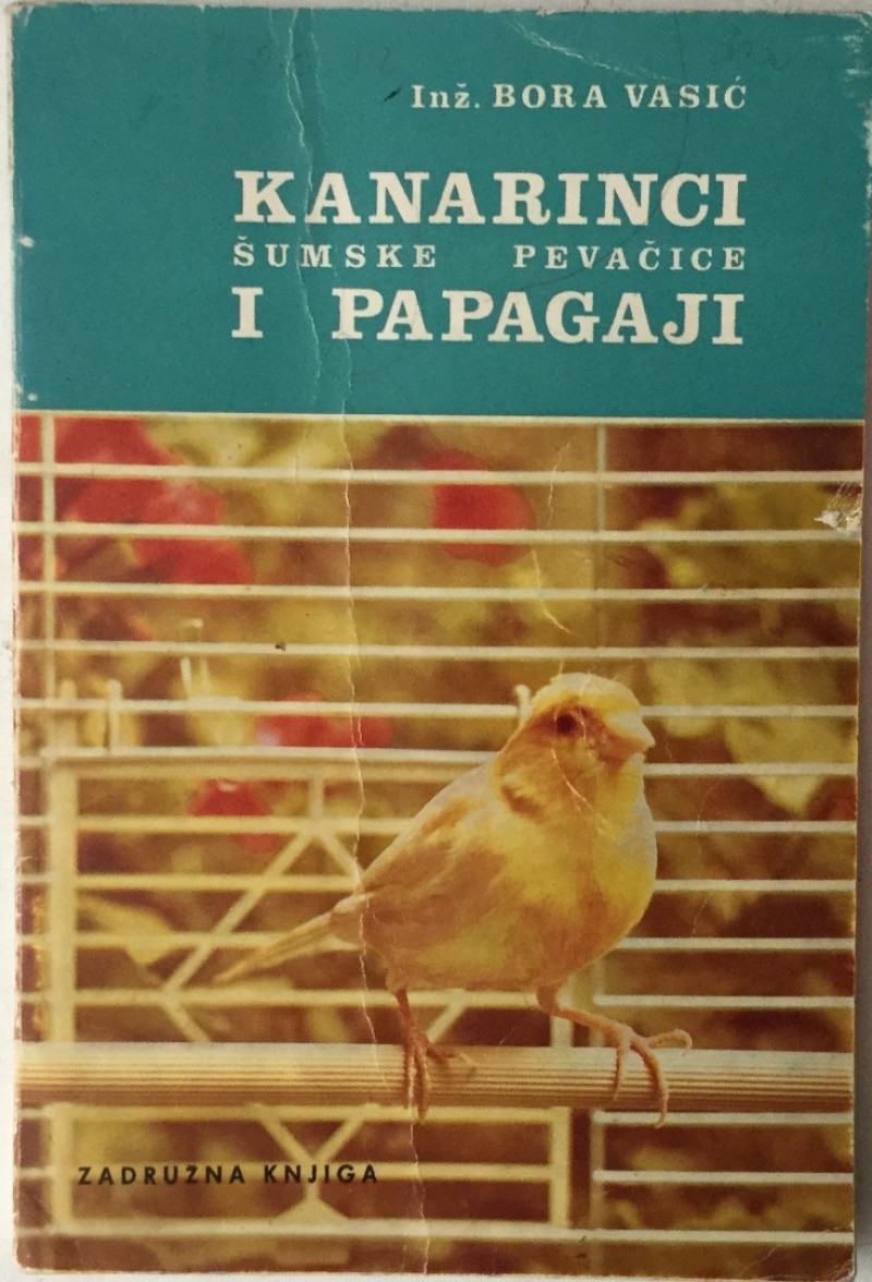 Bora Vasić: Kanarinci, šumske pevačice i papagaji